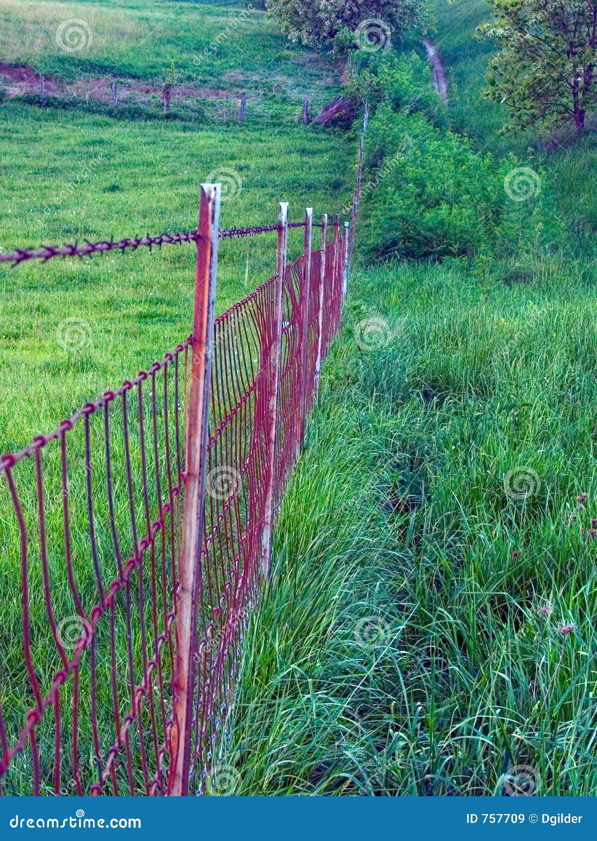 Rusty Fence in Green Pasture Stock Image - Image of meadow, fence: 757709