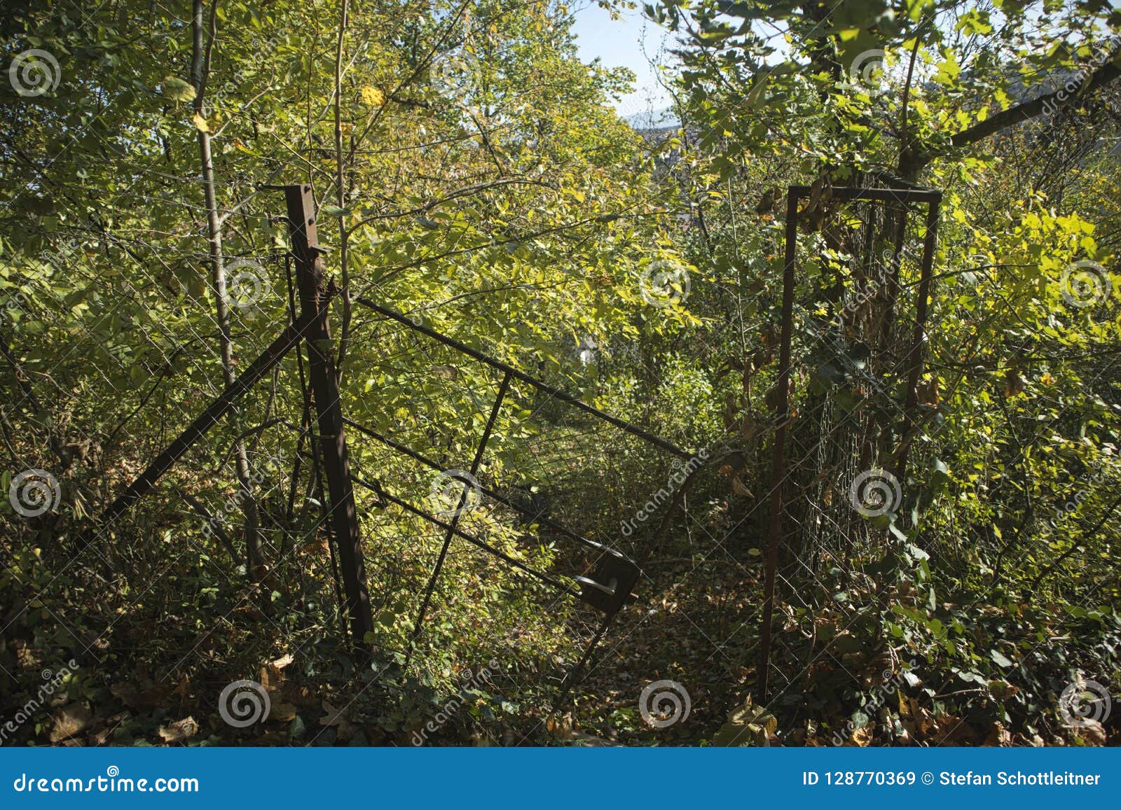 A Rusty Fence in the Thicket of the Forest Stock Image - Image of grass ...