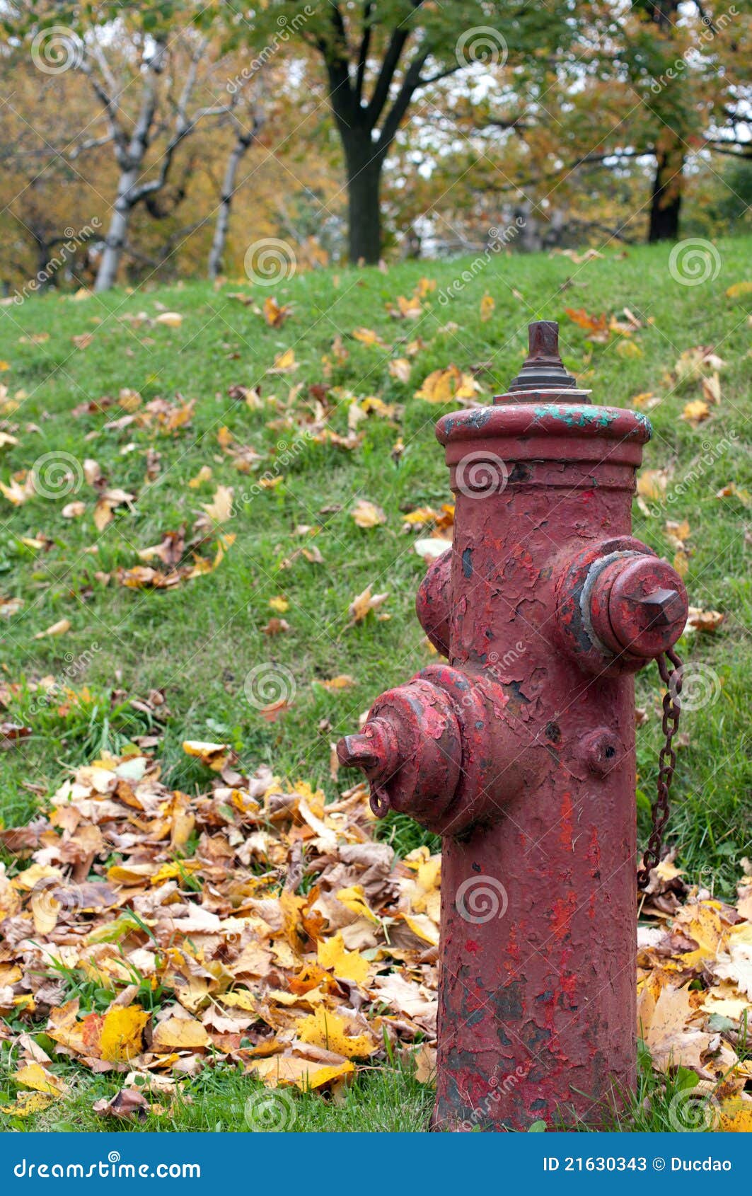 Rusty fire hydrant stock image. Image of trees, safety - 21630343