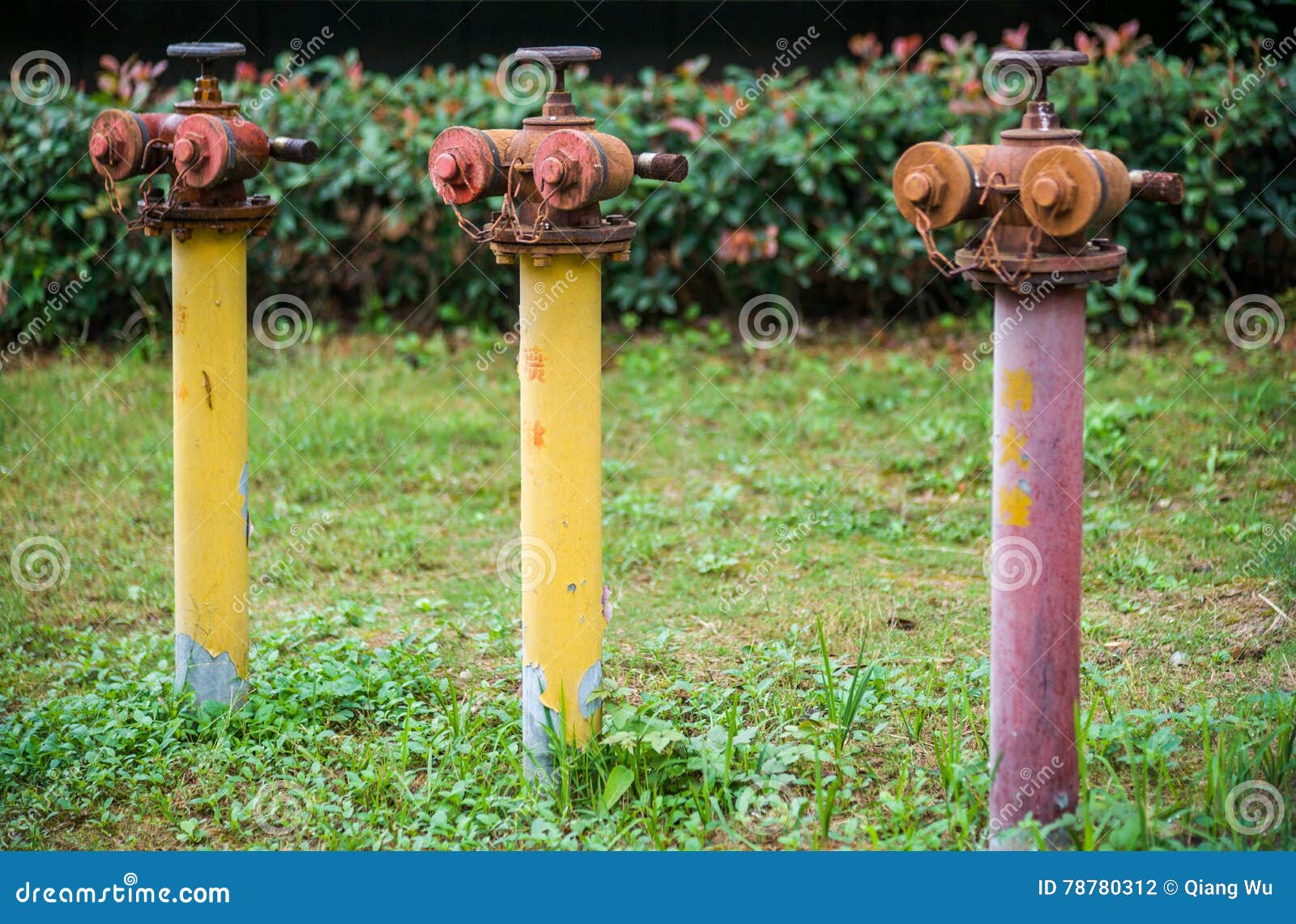 Rusty fire hydrant stock photo. Image of colors, front - 78780312