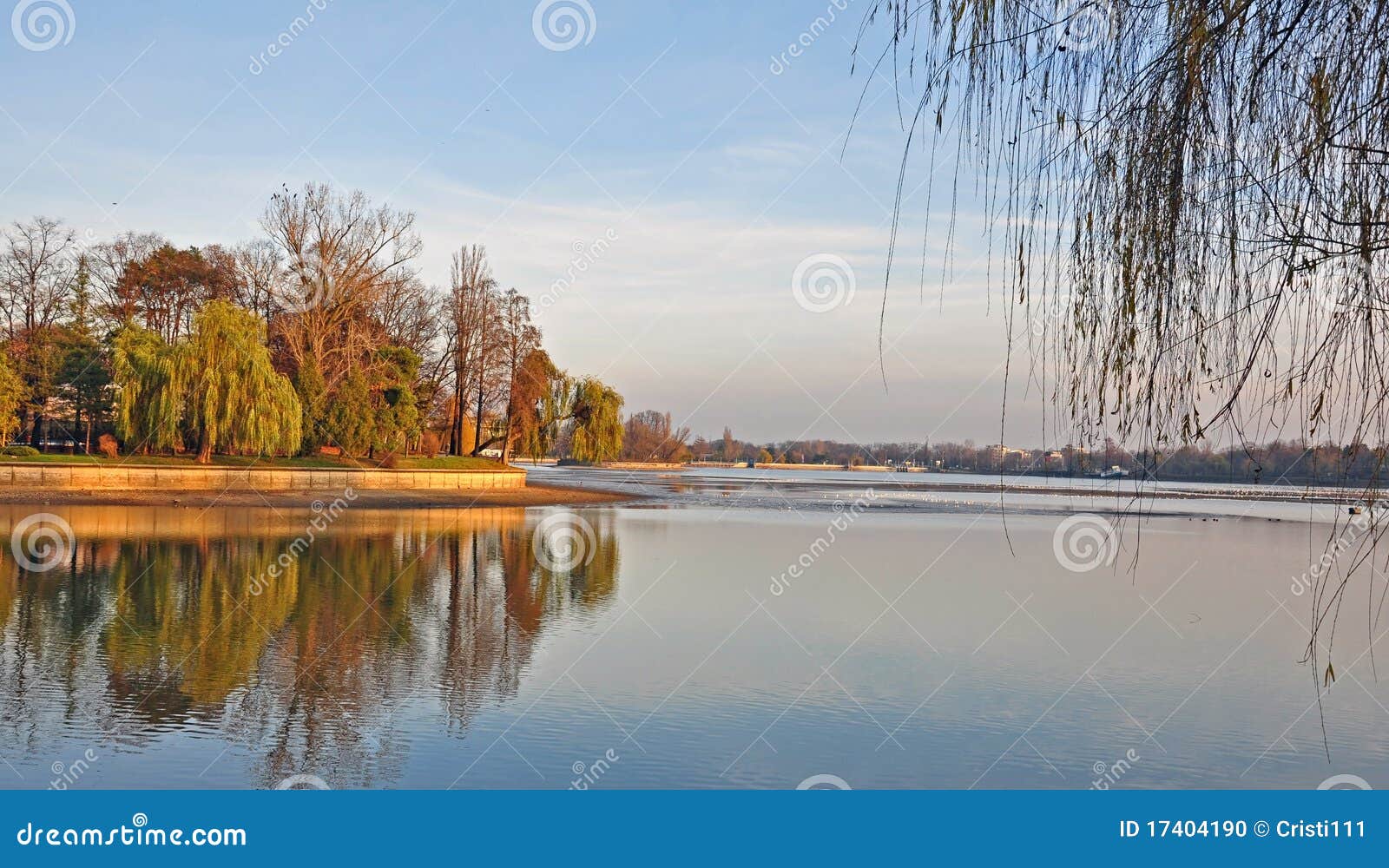 Rusty Forest Near Still Lake Stock Photo - Image of attraction, morning ...
