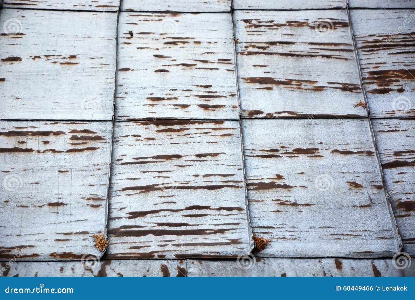 Rusty Galvanized Iron Plate Stock Photo - Image of nature, chrome: 60449466