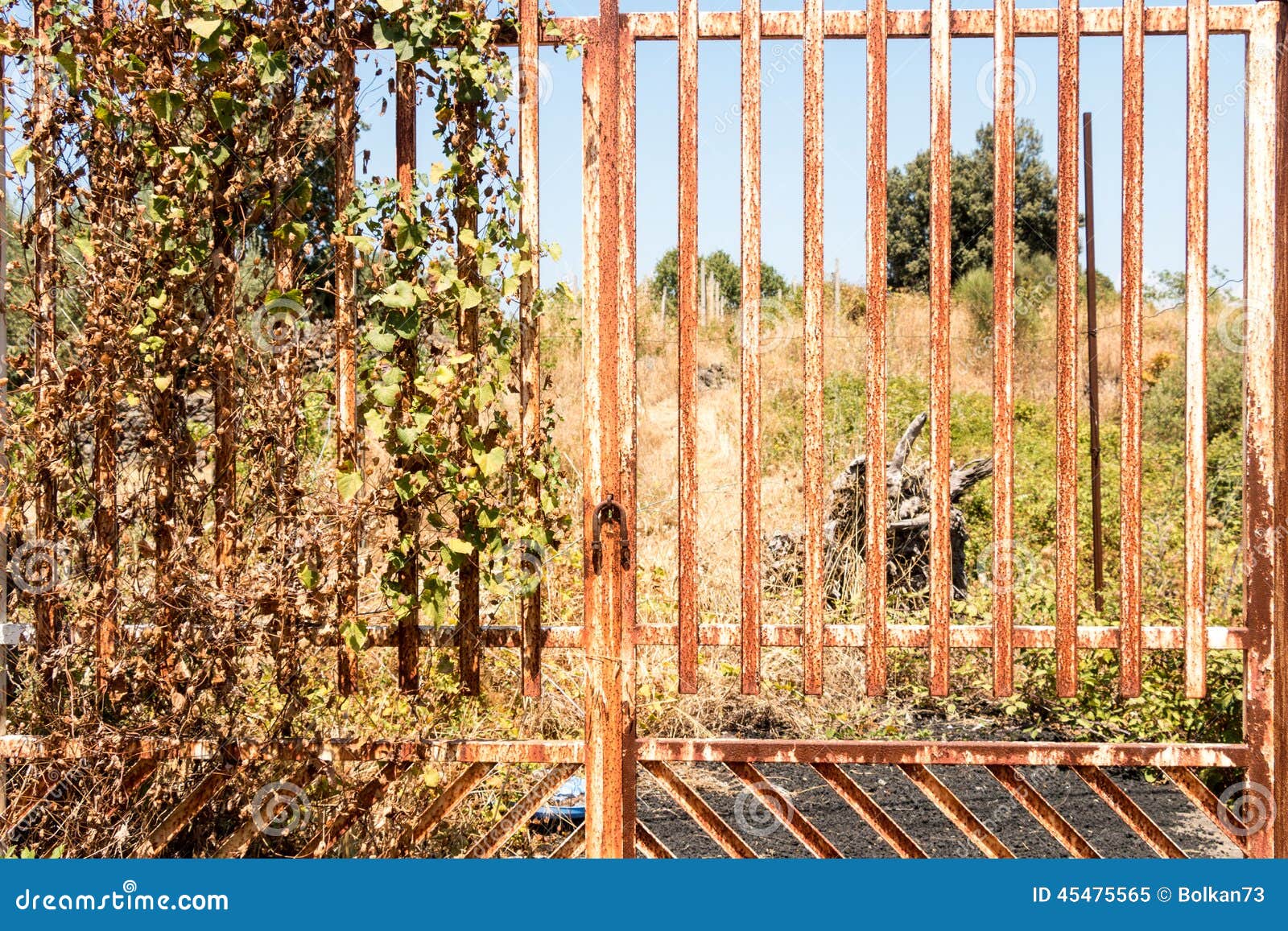 Rusty gate stock image. Image of artistic, decorative - 45475565