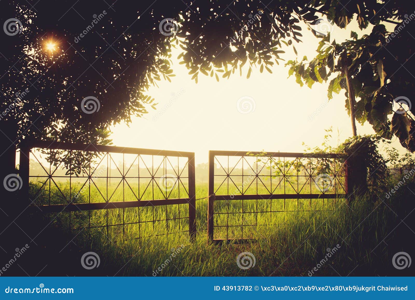 Rusty Gate in fog stock photo. Image of field, gate, rusty - 43913782