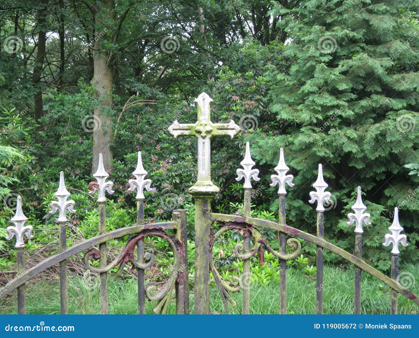 Rusty gate on a graveyard stock photo. Image of rusty - 119005672