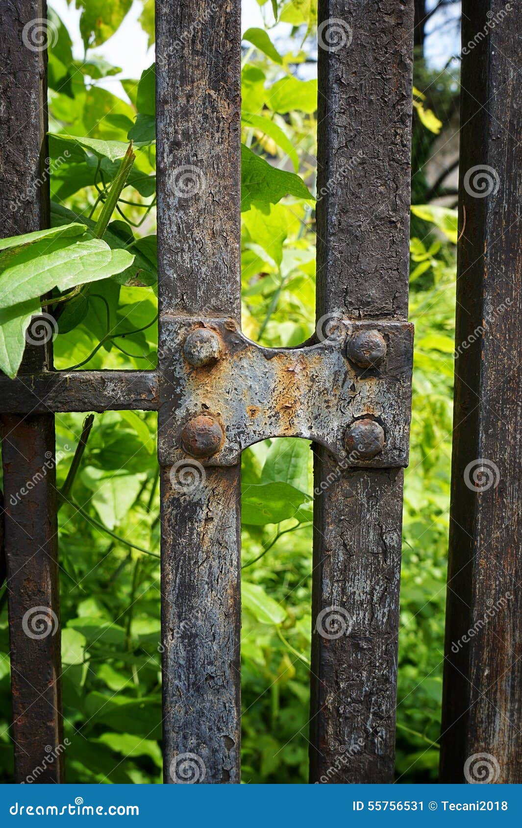 Rusty gate stock image. Image of metal, locked, entrance - 55756531
