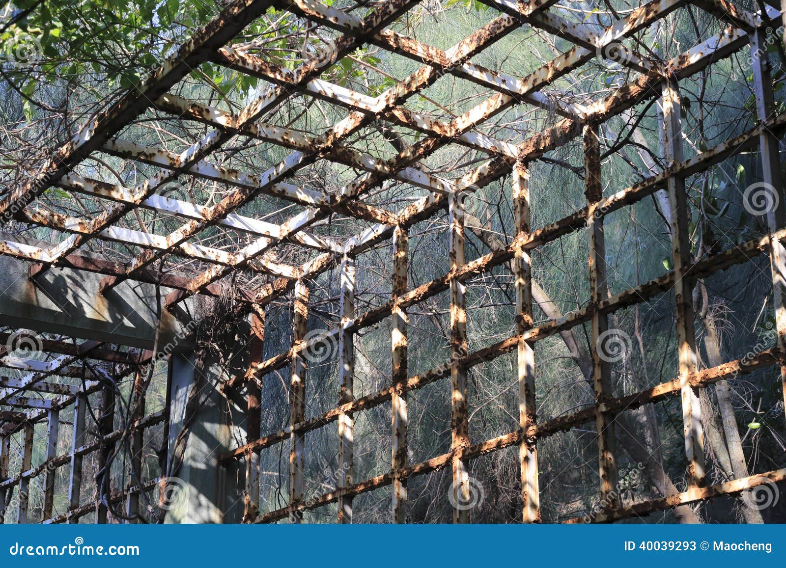 Rusty grape trellis stock image. Image of ironwork, ornamental - 40039293