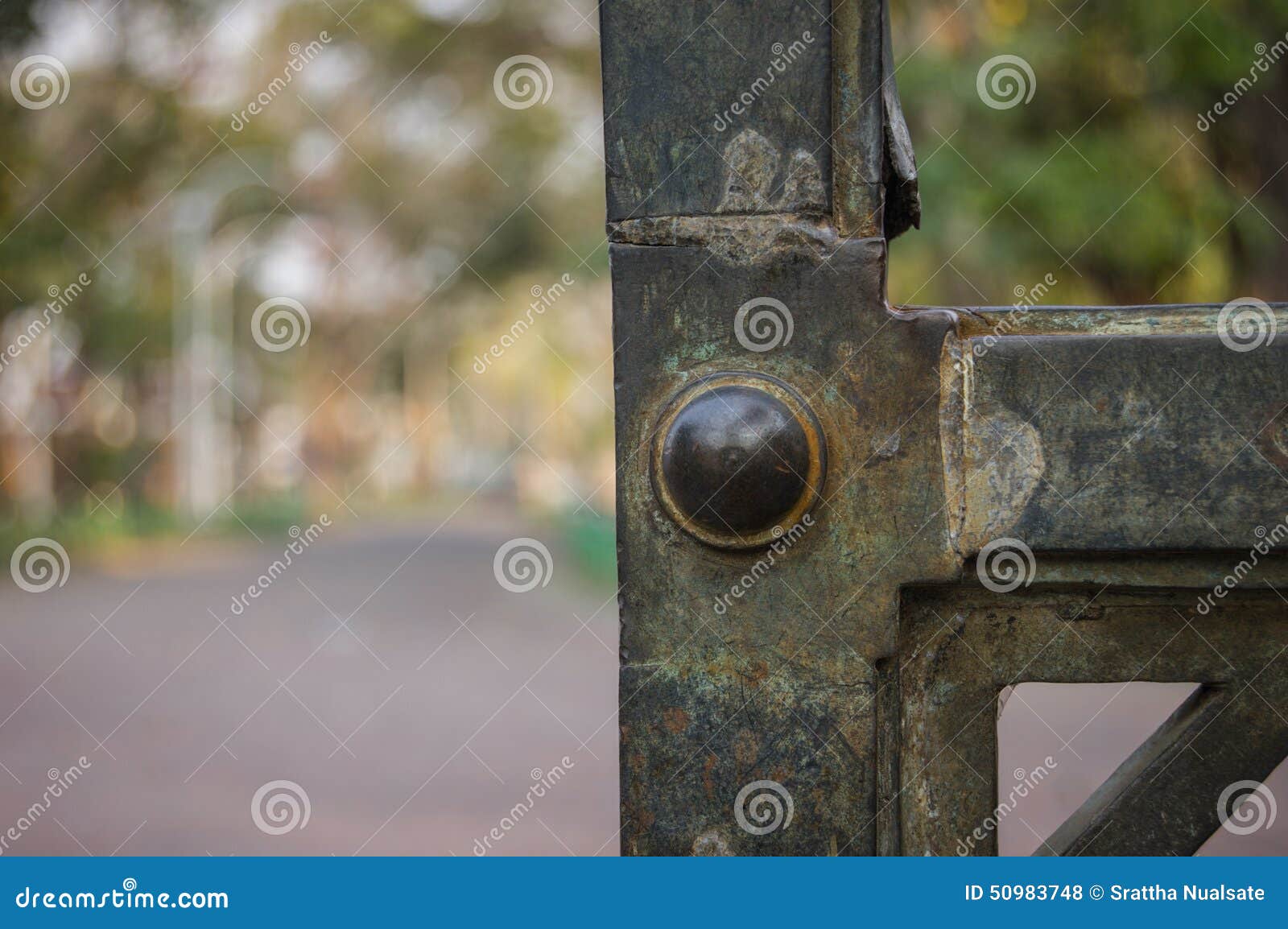 Rusty Green Iron Gates in the Park Stock Photo - Image of mansion, rust ...