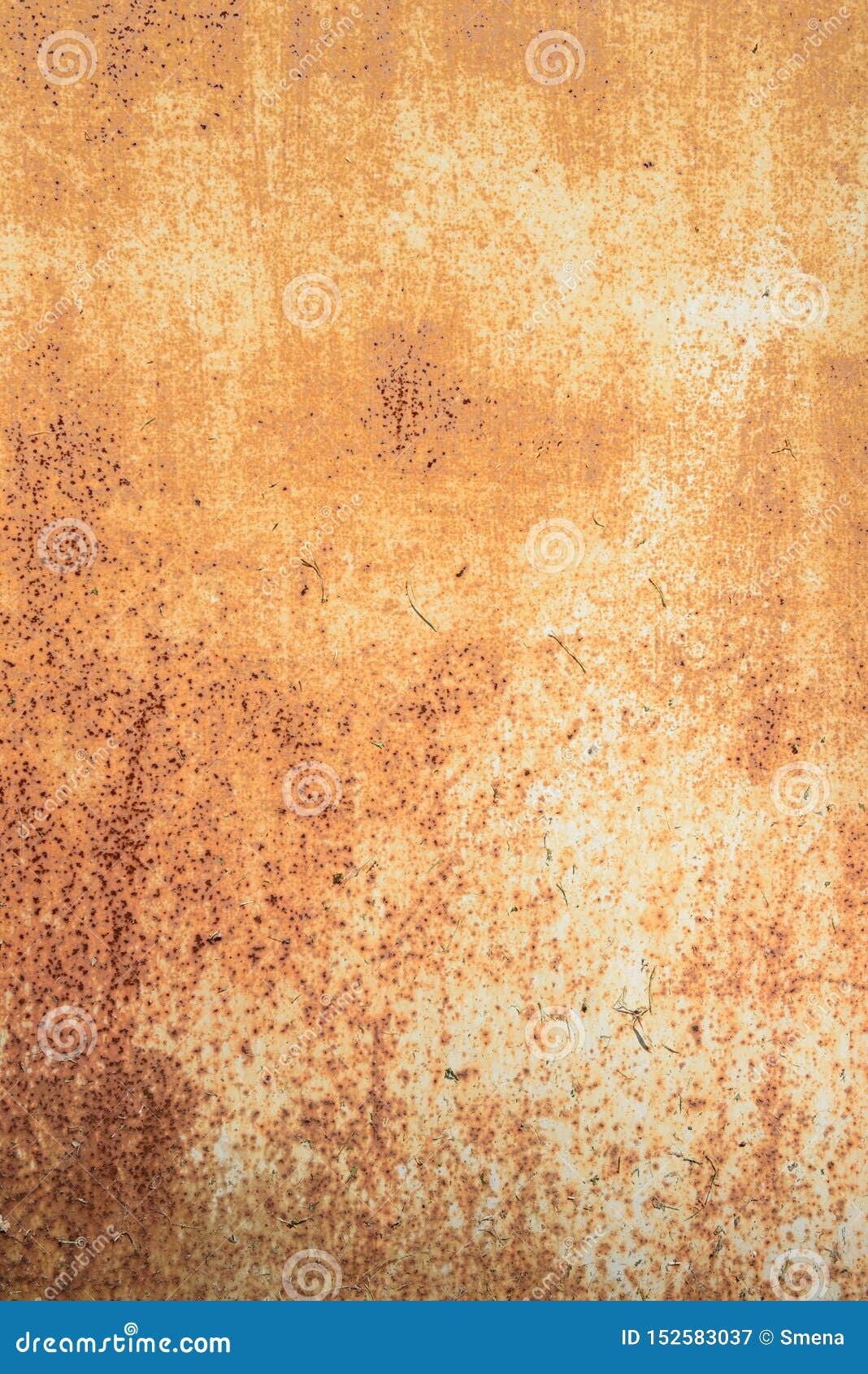 Rusty Grunge Metal Texture. Stock Image - Image of metallic, background ...