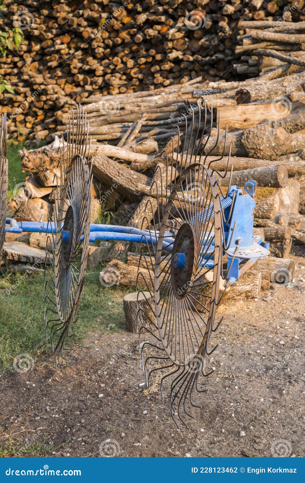 Rusty hay rack stock photo. Image of ground, plow, implement - 228123462