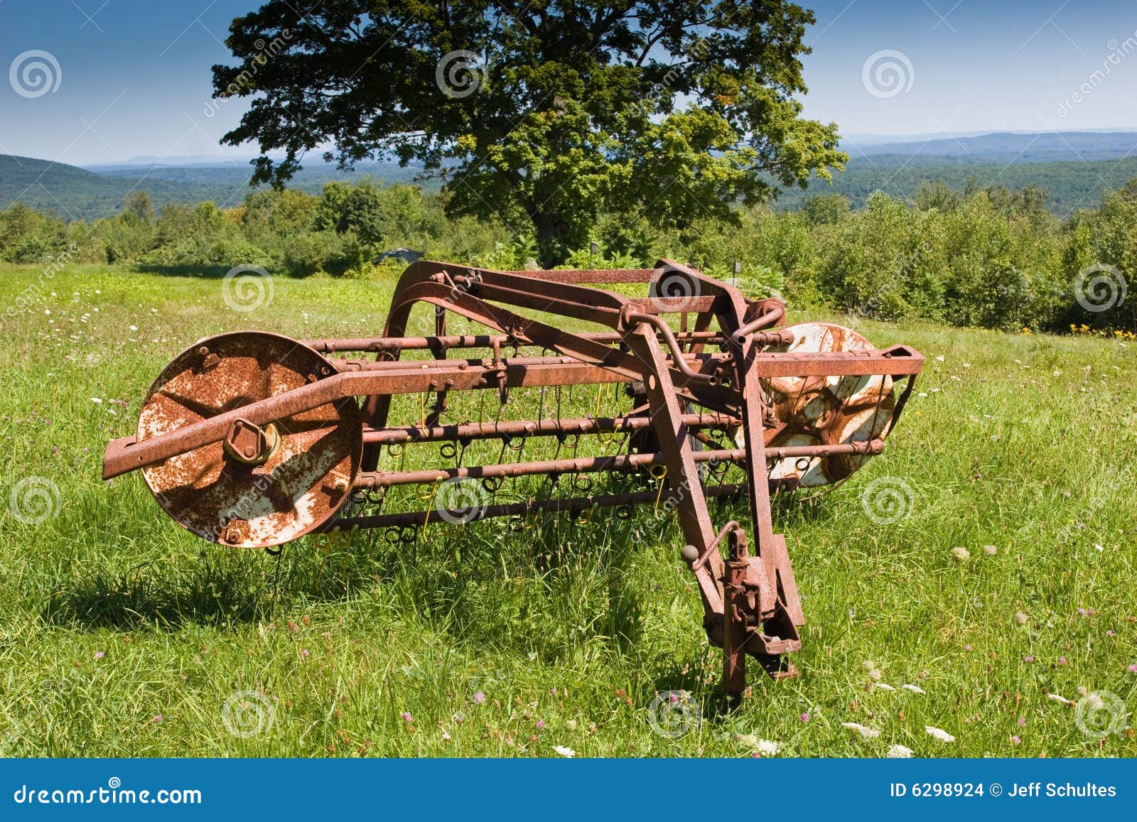 Rusty Hay Rake stock photo. Image of tree, agriculture - 6298924