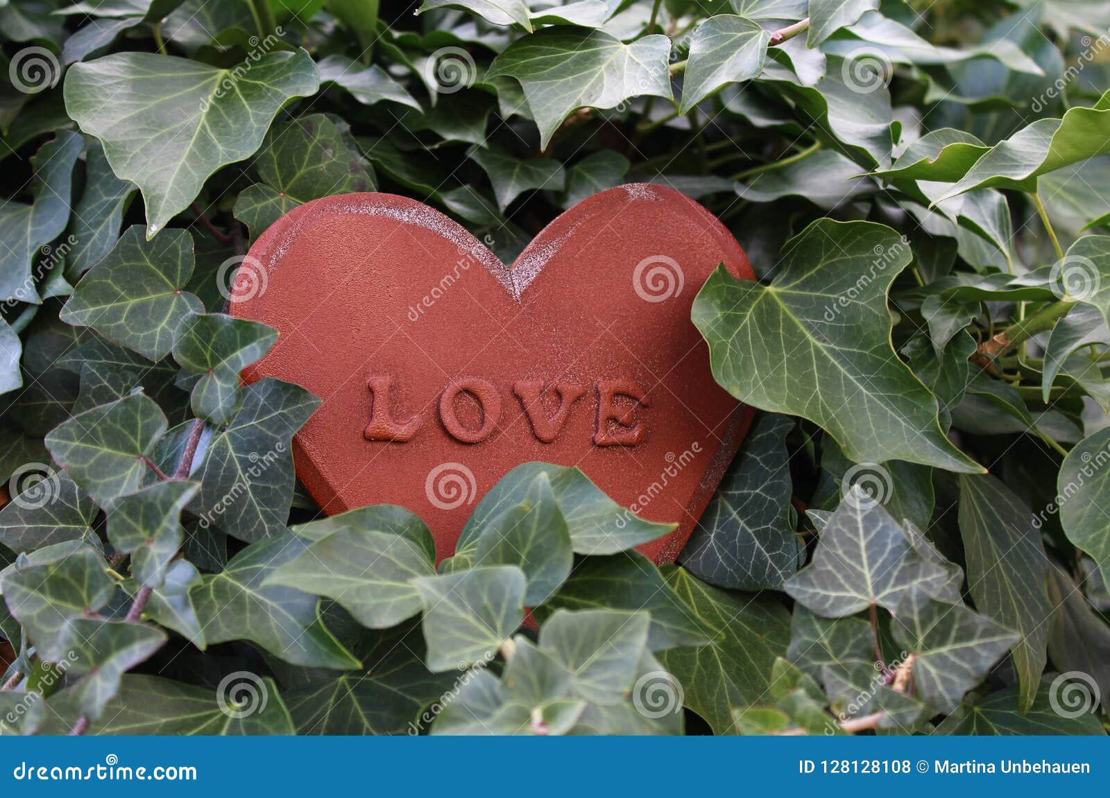 A rusty heart in the ivy stock photo. Image of valentine - 128128108