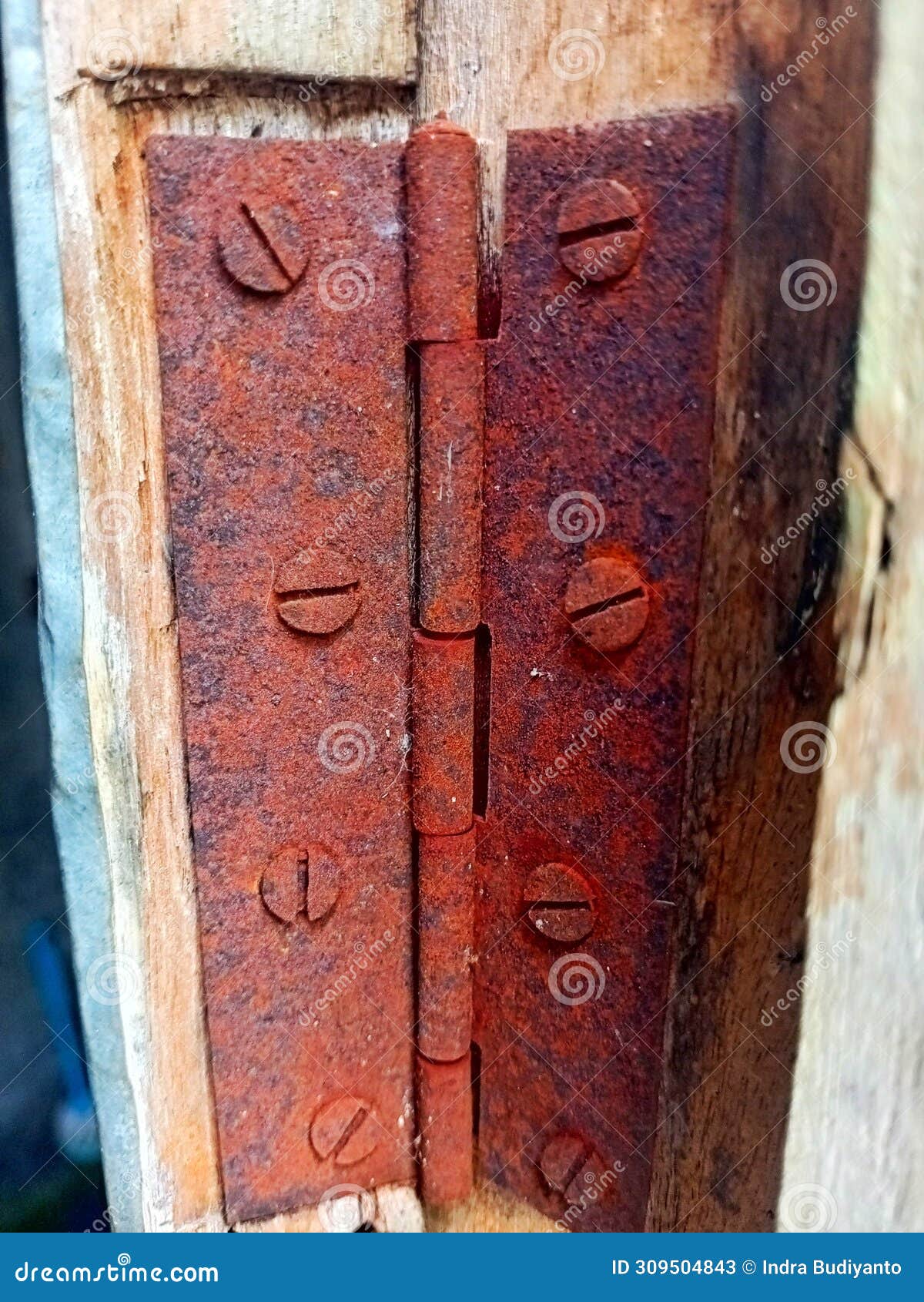 The Rusty hinge stock image. Image of lubricant, abstract - 309504843