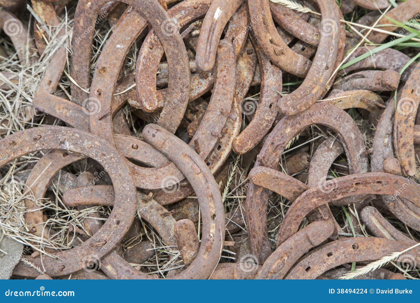 Rusty Rusted Horseshoes Old Pile Stock Photo - Image of mule, abandoned ...