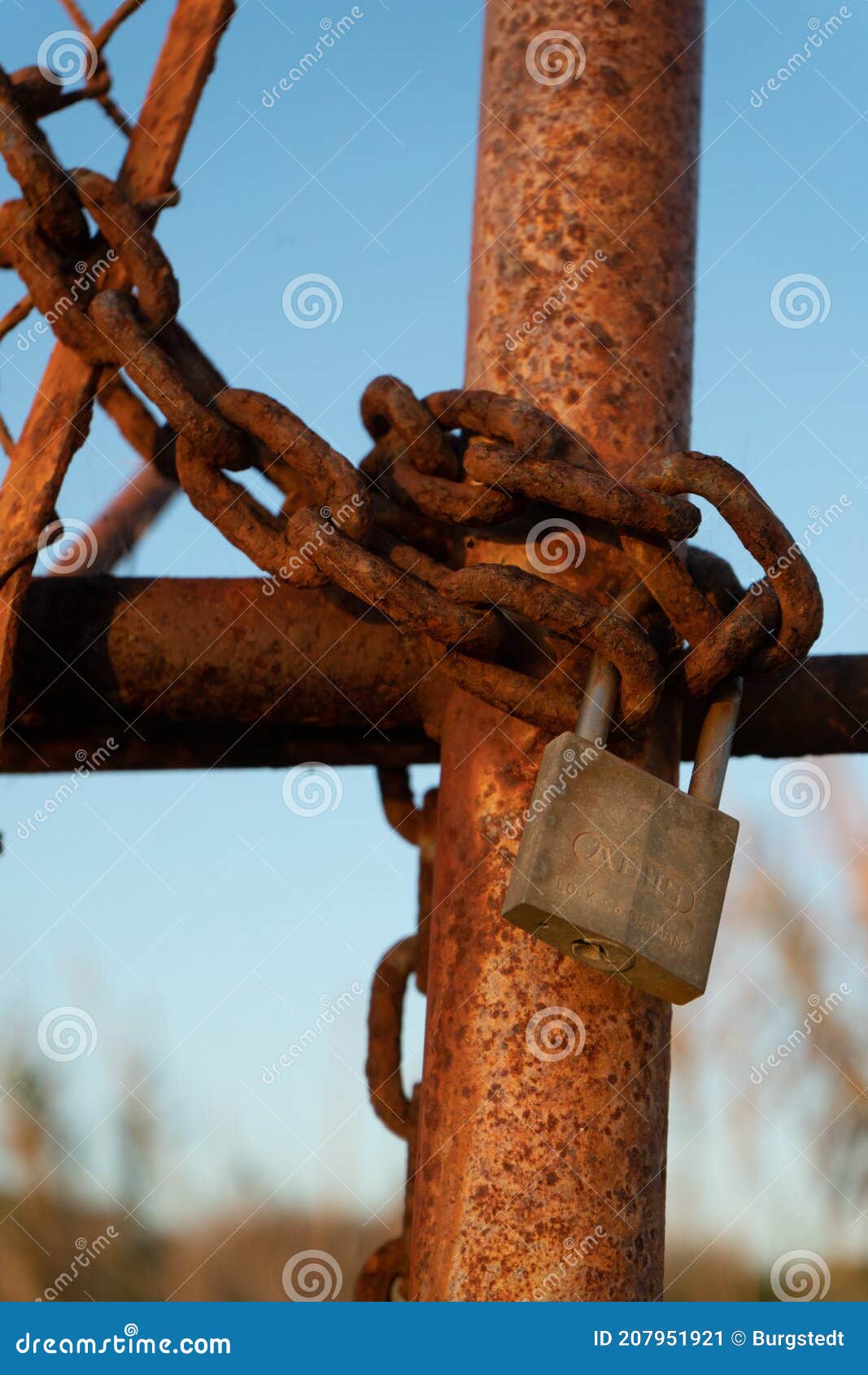 Rusty Iron Chain and Lock Closes Iron Gate Stock Image - Image of ...