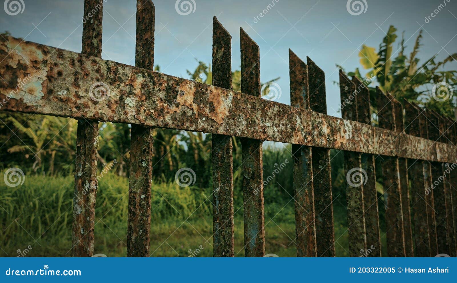 Rusty Iron Fences and Green Gardens Stock Image - Image of iron, wood ...