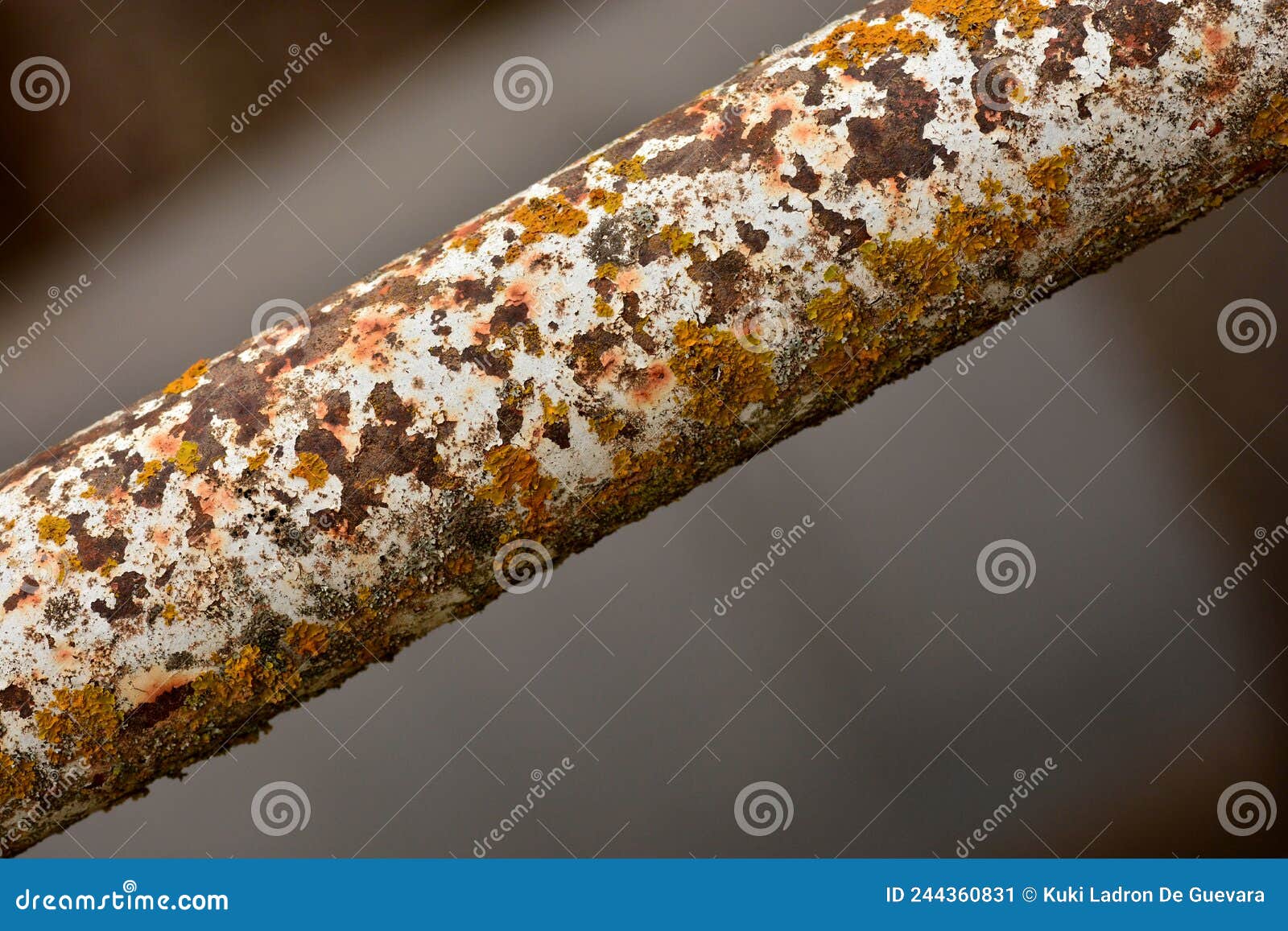 Rusty Iron Pipe in the Open Stock Image - Image of bombones, herrumbre ...