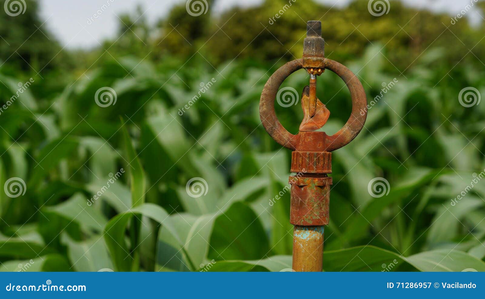 Rusty Irrigation Sprinkler stock image. Image of landscape - 71286957