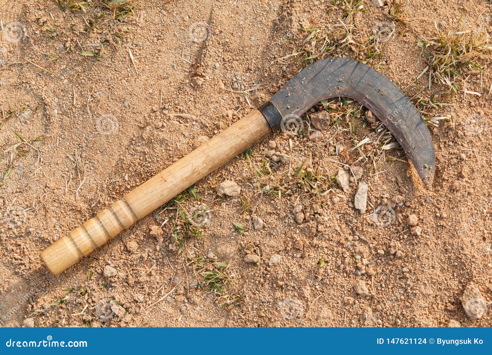Rusty Korean Sickle on the Ground Stock Photo - Image of gardening ...