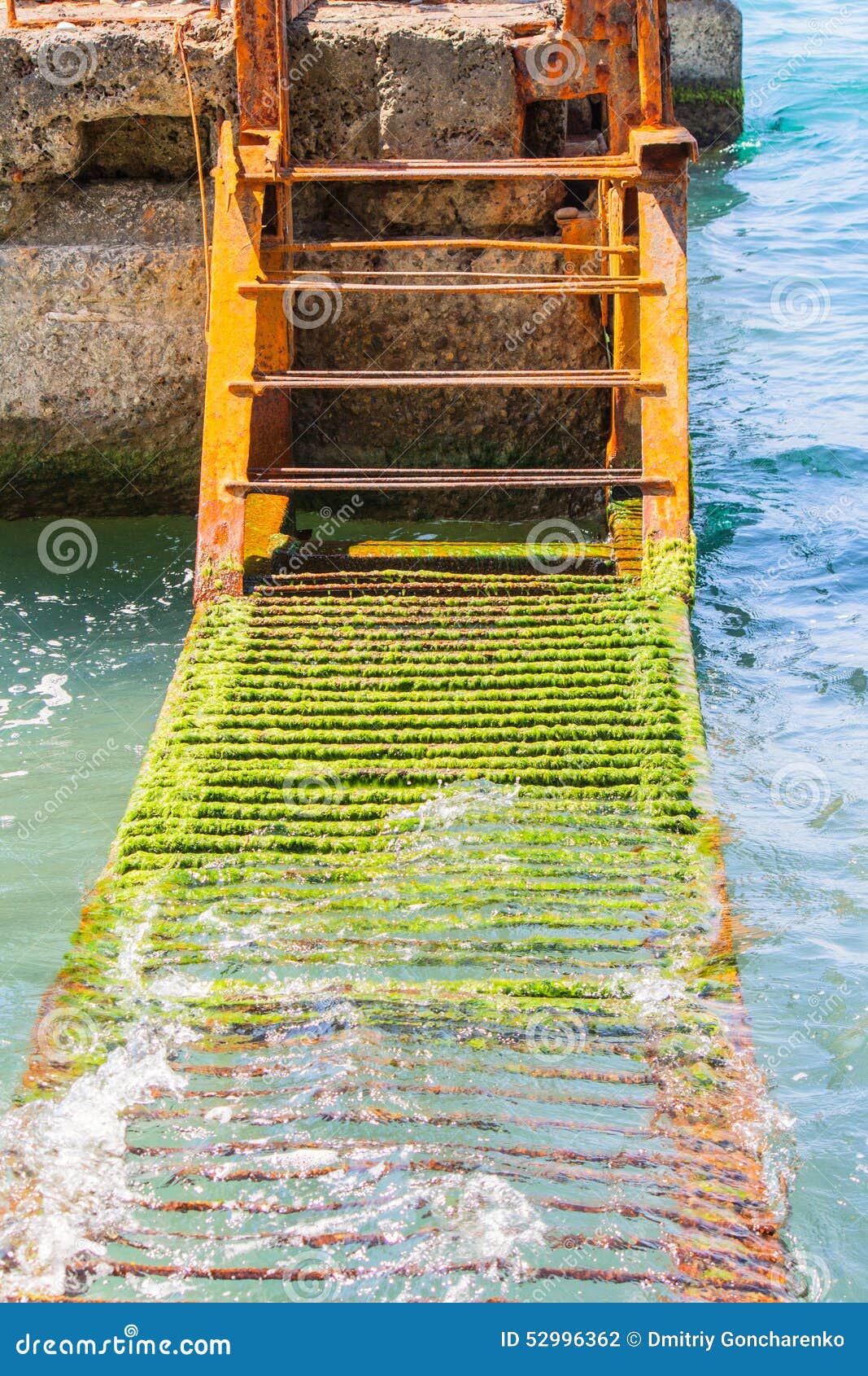 A Rusty Ladder in the Water Stock Photo - Image of metal, algae: 52996362