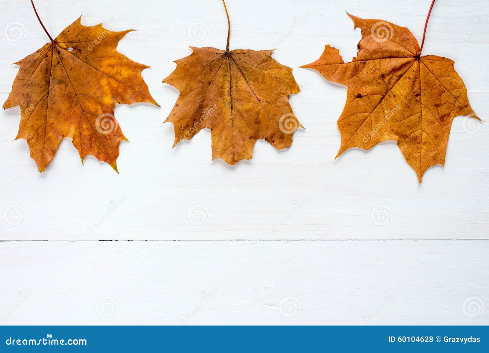 Rusty Leaves Over Wooden Background with Copy Space Stock Photo - Image ...