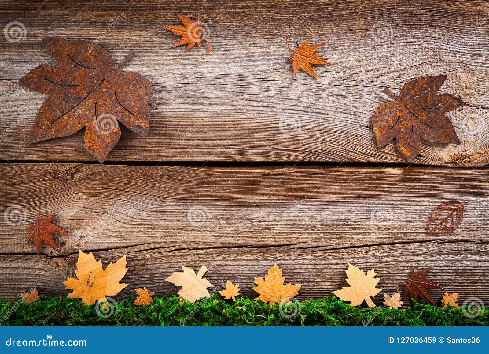 Autumn Background with Rusty Leaves Stock Image - Image of background ...