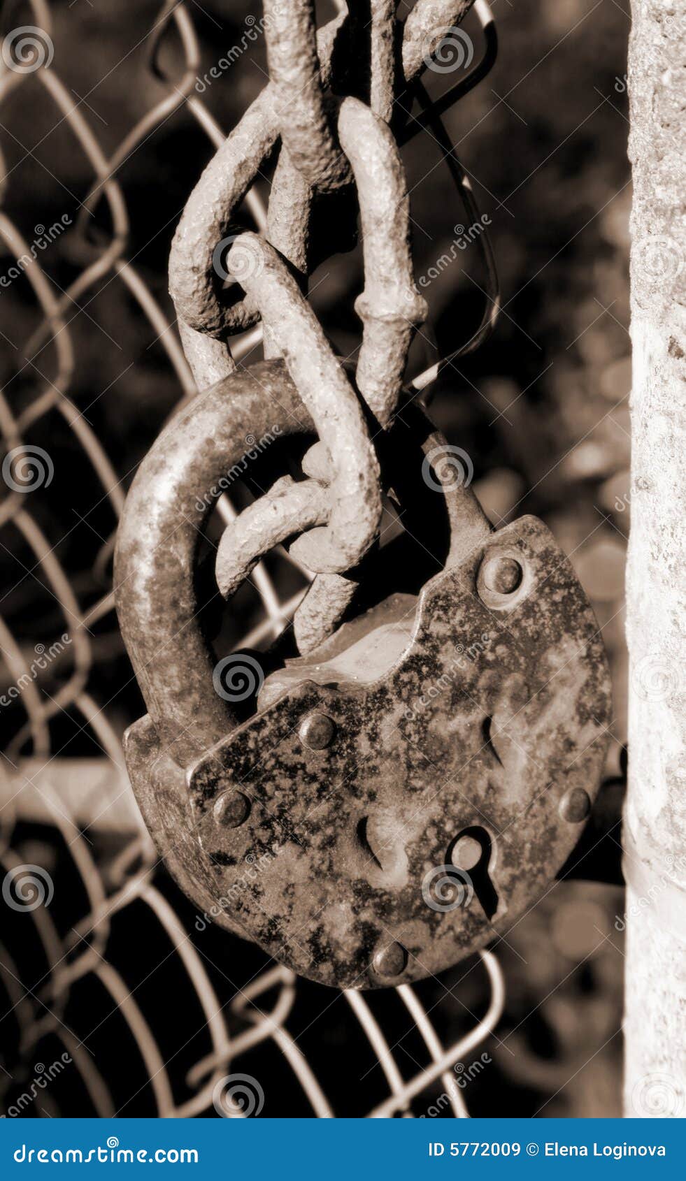 Rusty lock on chains stock image. Image of rusted, locked - 5772009