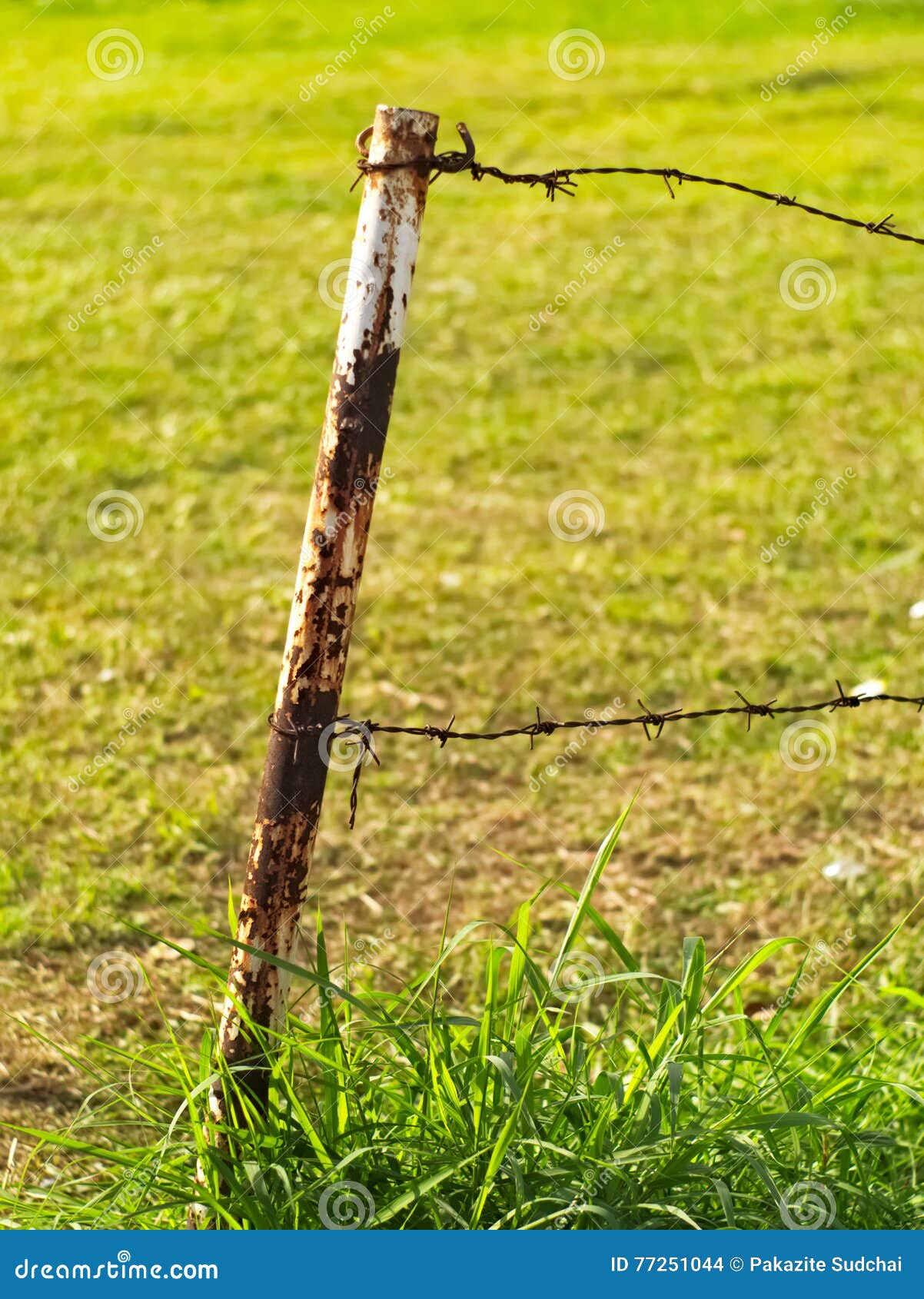 Rusty Metal Barbed Wires on Metal Pole Stock Photo - Image of fence ...