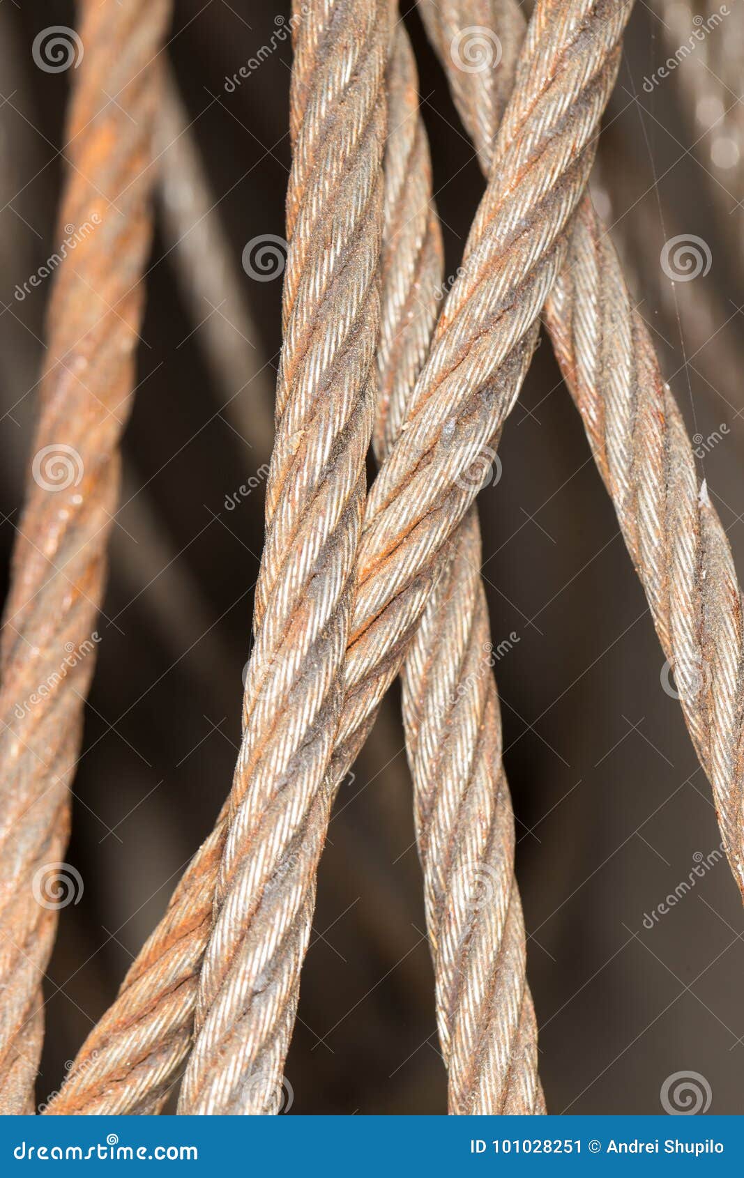 Rusty metal cable stock image. Image of metal, strength - 101028251