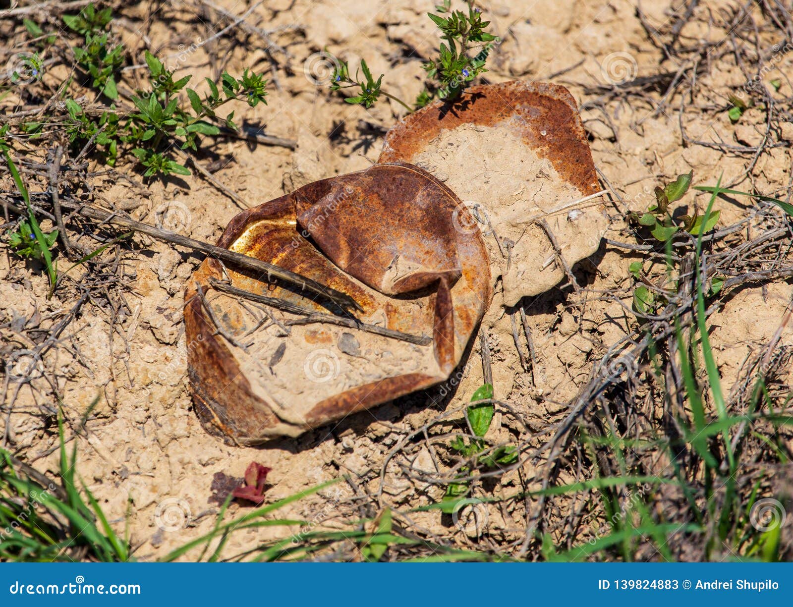 Rusty Metal Can on the Grass in the Field Stock Image - Image of design ...