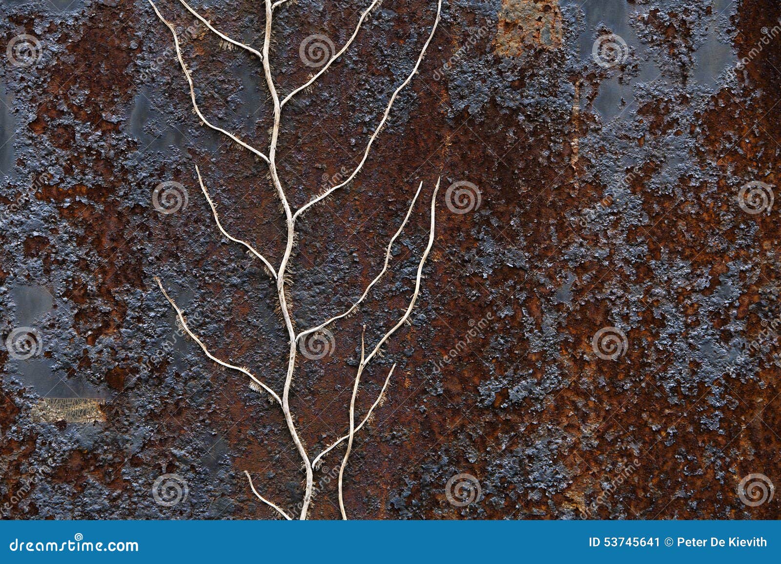 Rusty Metal and a Dead Plant Background Stock Image - Image of damaged ...