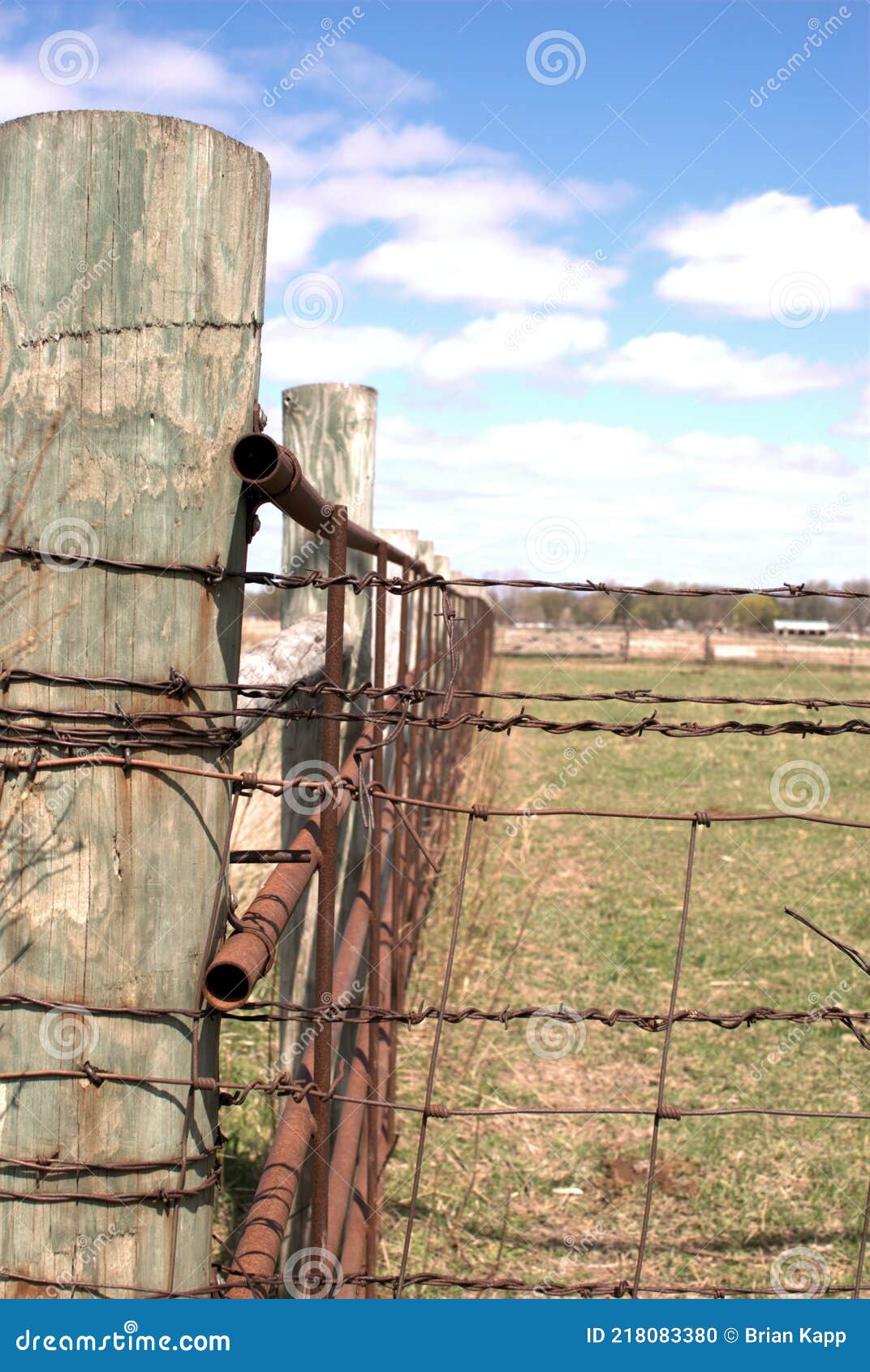 A Rusty Metal Fence with Wood Posts is Keeping the Herd in Its Place ...