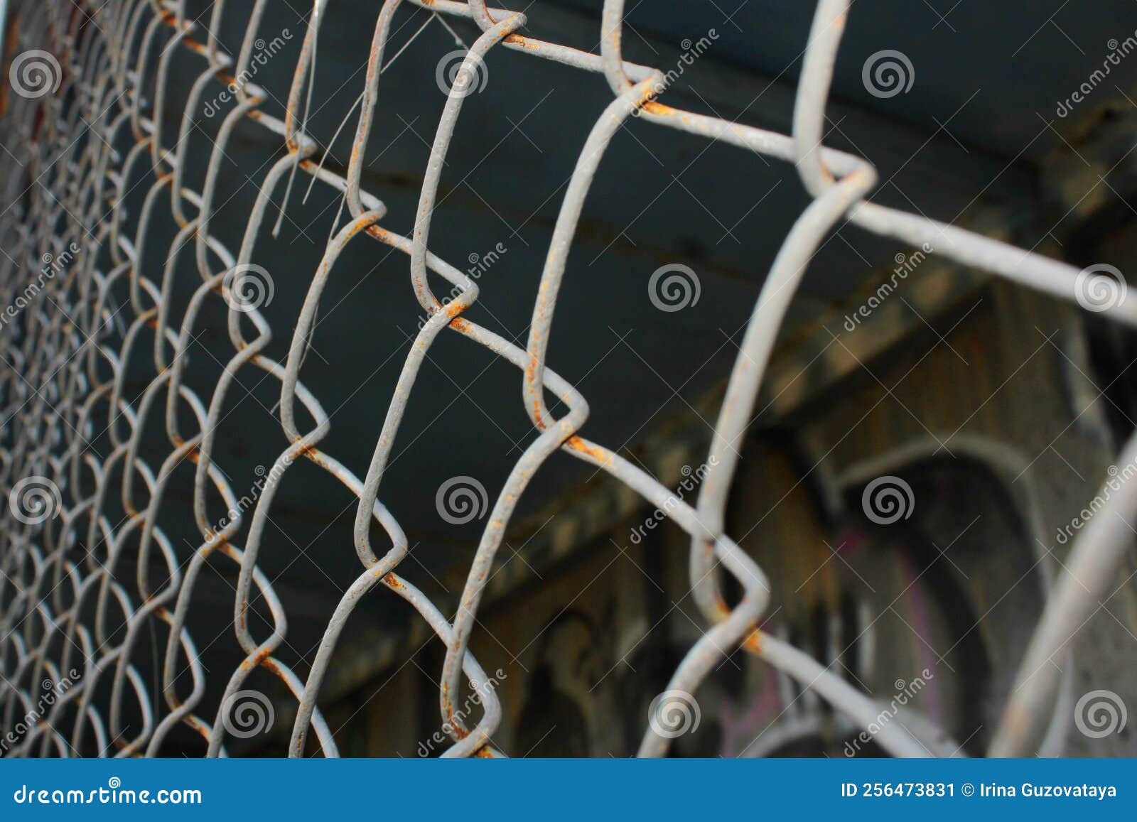 Rusty Metal Mesh Close-up on the Background of Painted Walls Stock ...