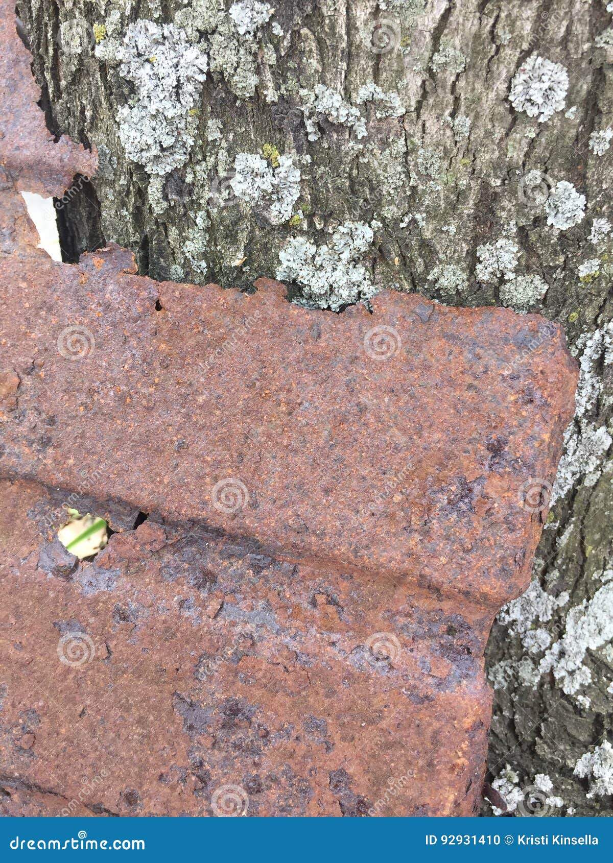 2,660 Metal Moss Texture Photos - Free & Royalty-Free Stock Photos from ...