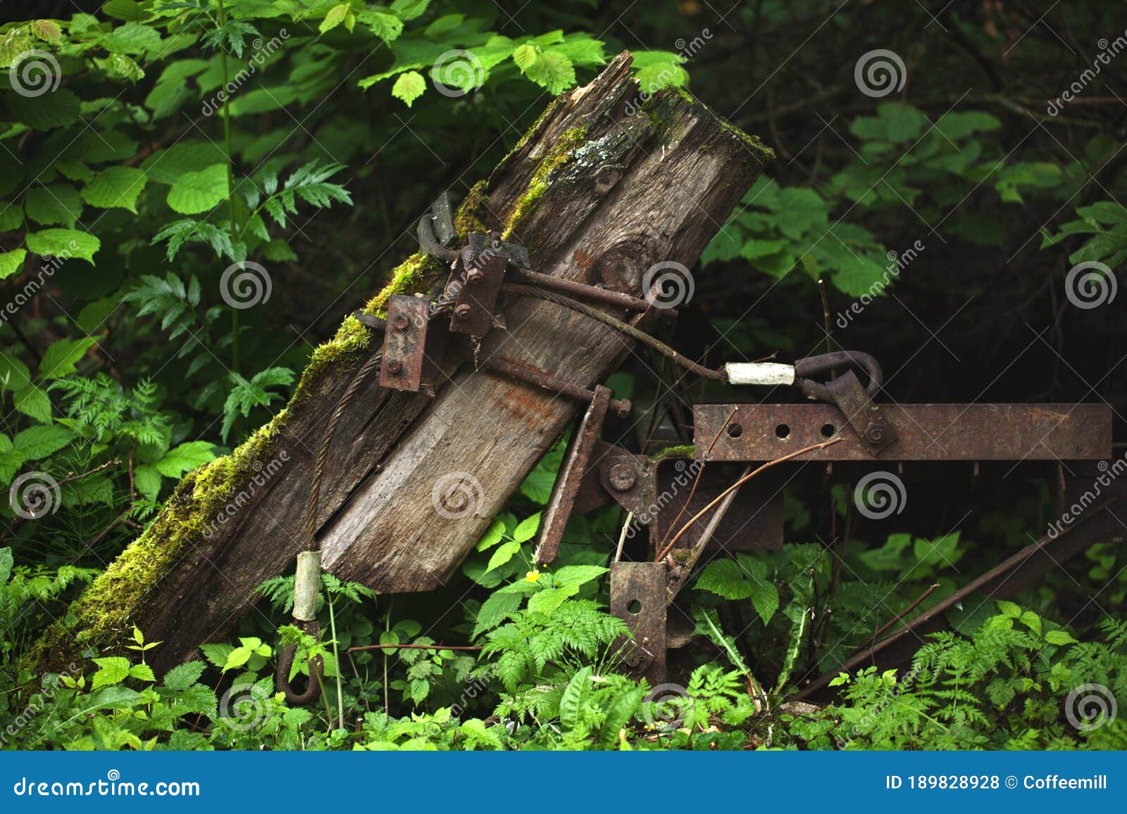 Rusty Metal Objects, Frames, Cables Stock Photo - Image of tree, wood ...