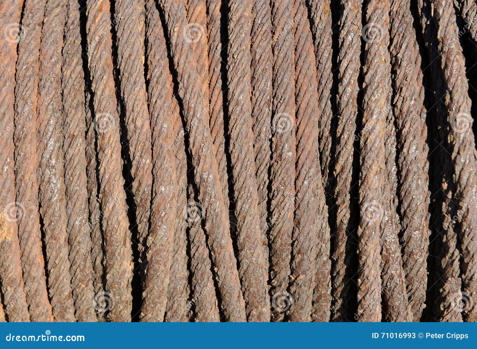 Rusty metal rope stock image. Image of rope, fishing - 71016993
