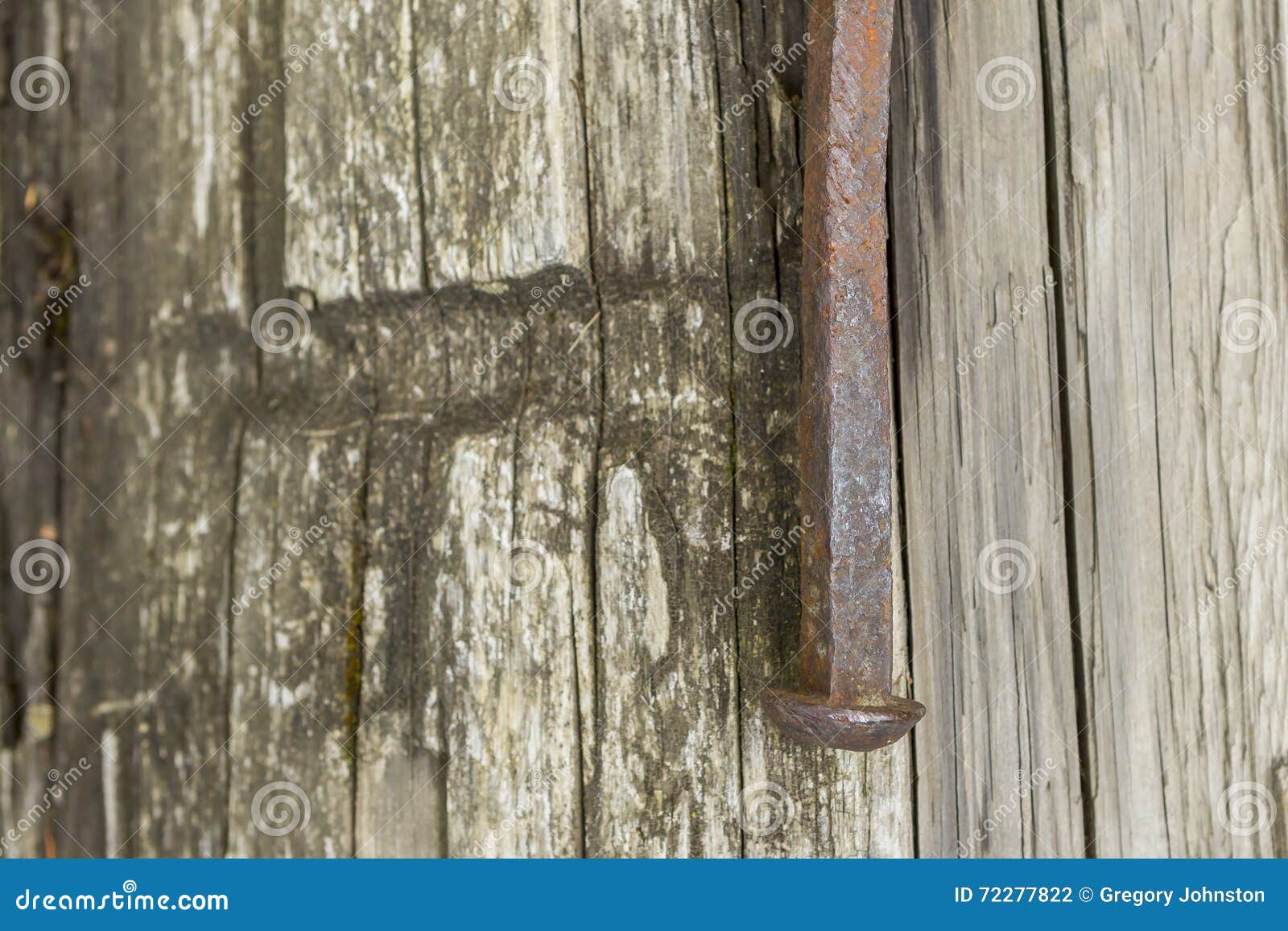Rusty metal spike in wood. stock photo. Image of brown - 72277822