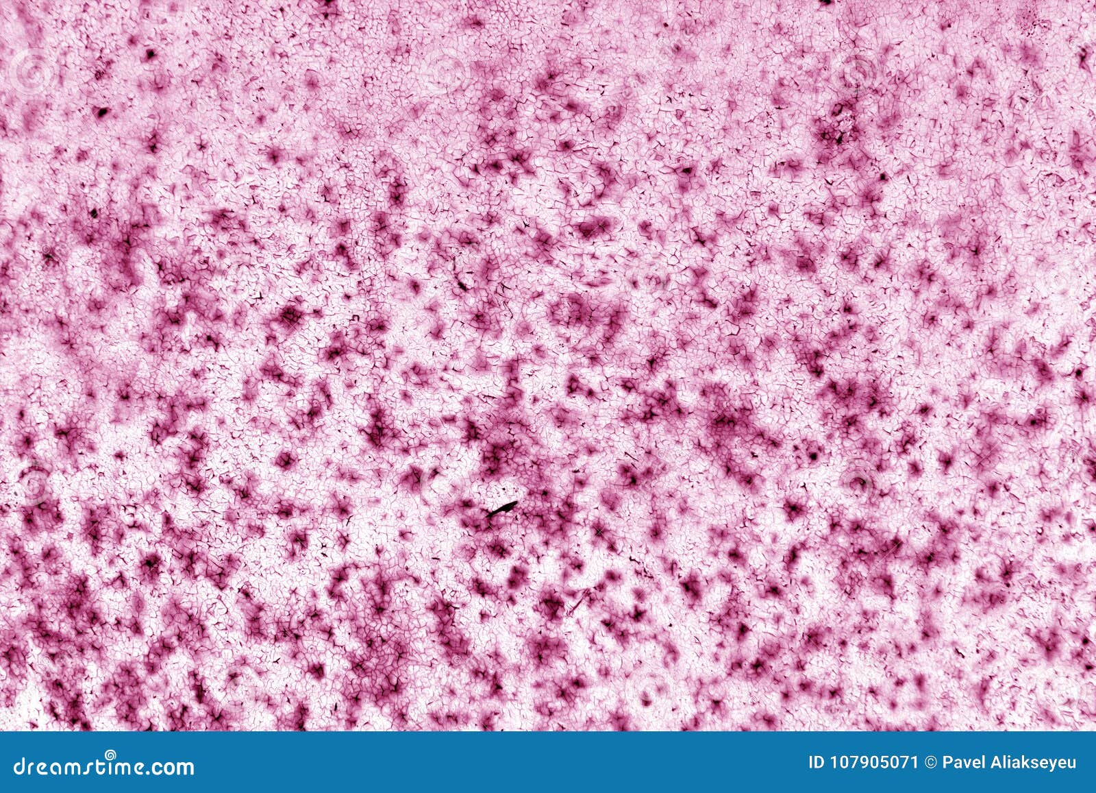 Rusty Metal Wall Texture in Pink Color. Stock Image - Image of rusty ...