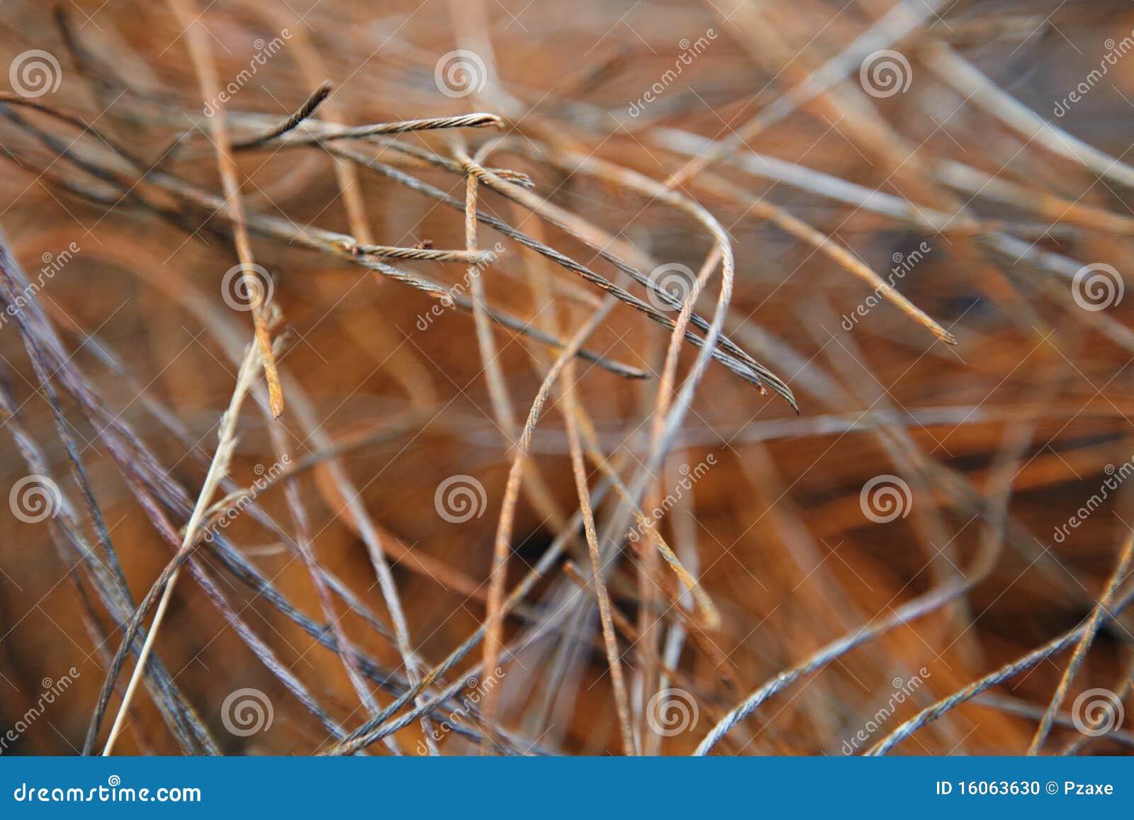 Rusty metal wire in mess stock photo. Image of recycling - 16063630