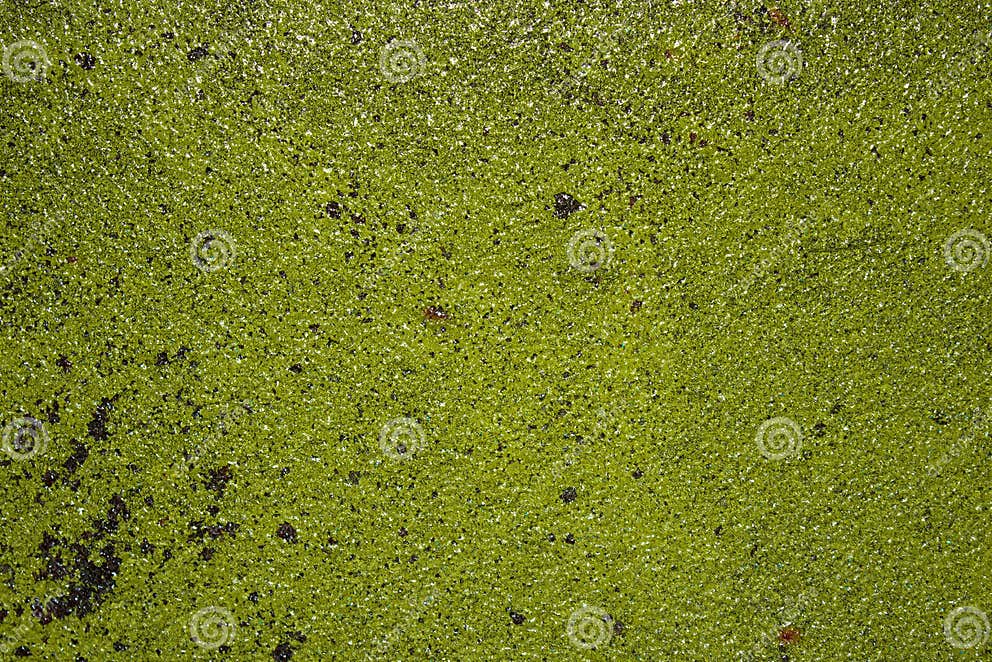 Rusty Metallic Green Paint Texture.Old Green Rusty Background. Stock ...