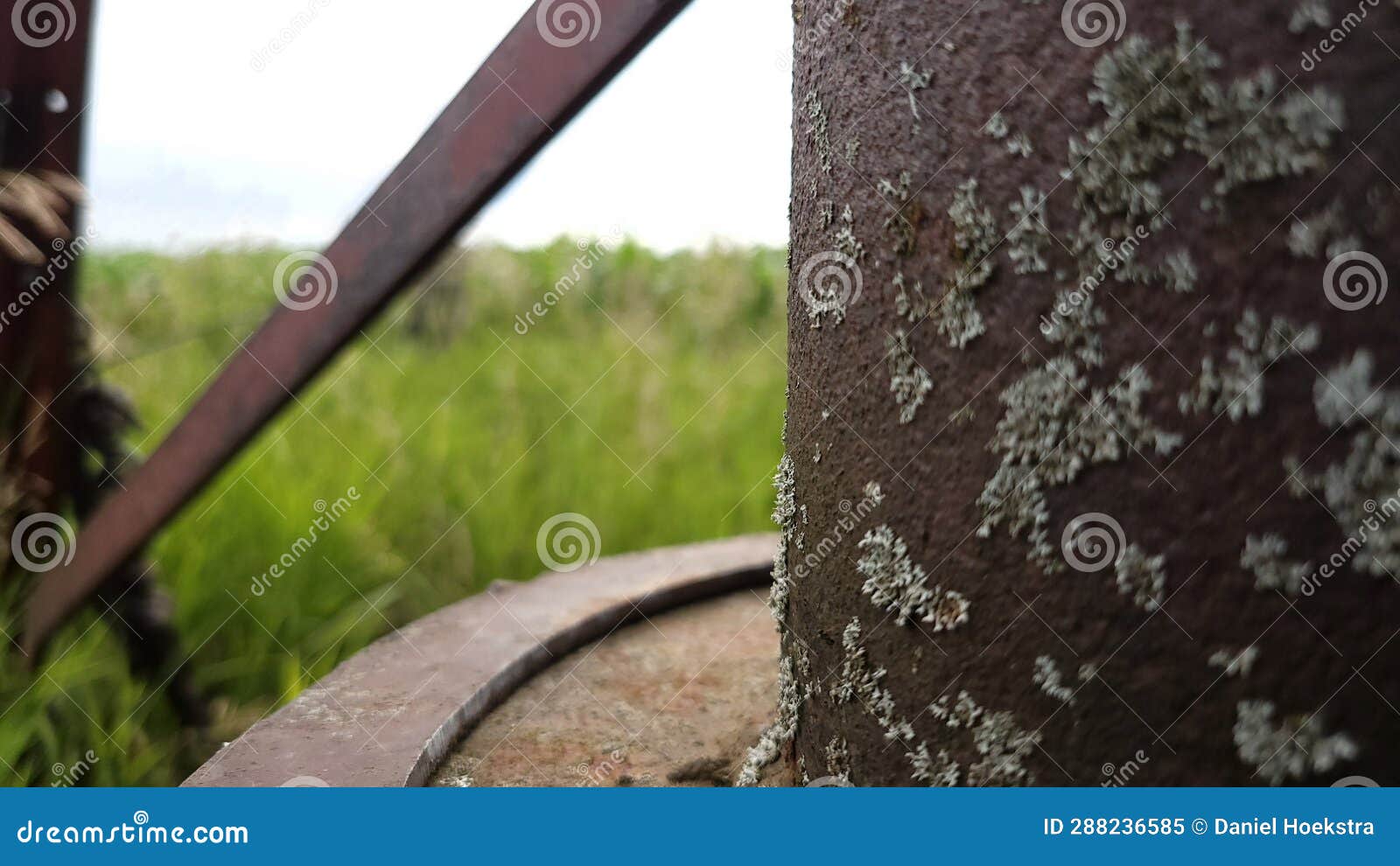 Rusty and Moss Covered Pipe Stock Image - Image of pipe, flower: 288236585
