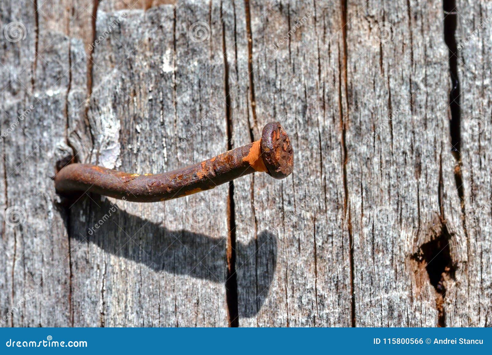 Rusty Nail foto de archivo. Imagen de moho, aherrumbrado - 115800566