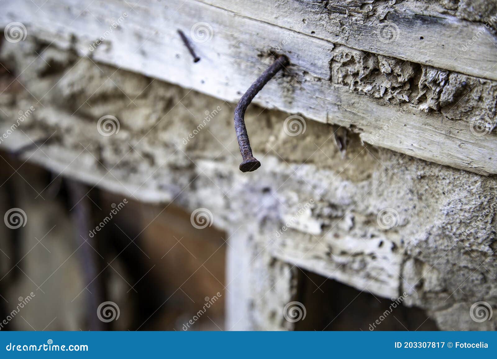 Rusty nail in wood stock image. Image of wall, background - 203307817