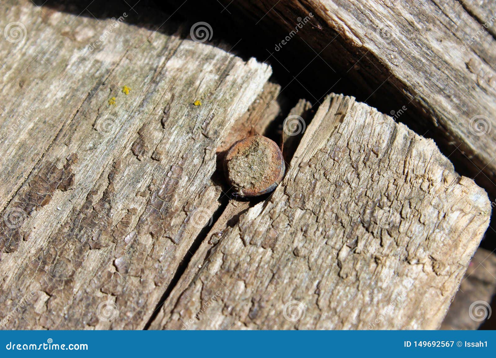 Rusty Nail Head Stock Images - Download 1,721 Royalty Free Photos
