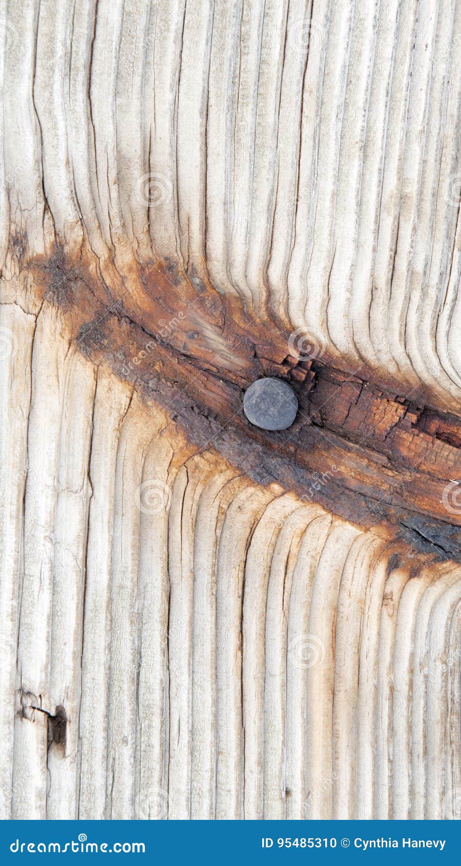 Rusty nail stock photo. Image of deterioration, nail - 95485310