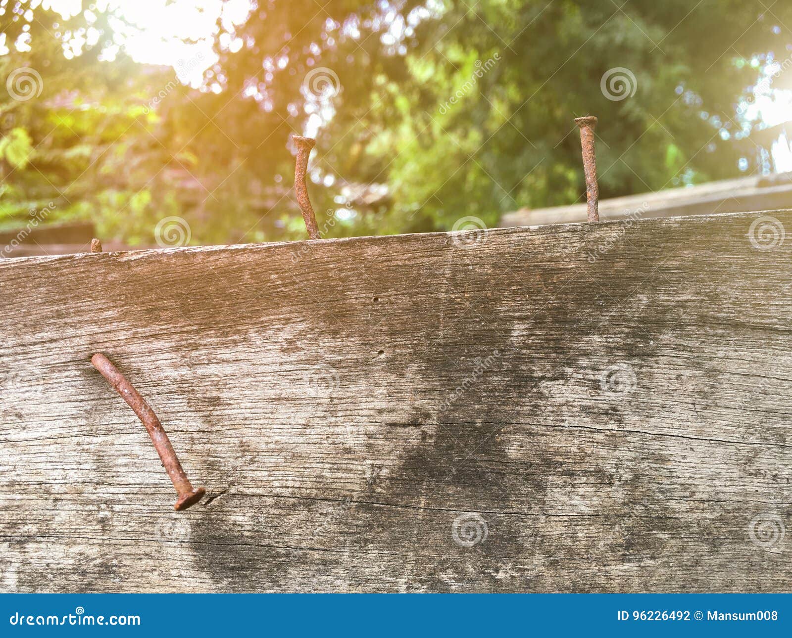 Rusty nail stock photo. Image of rough, weathered, dirty - 96226492