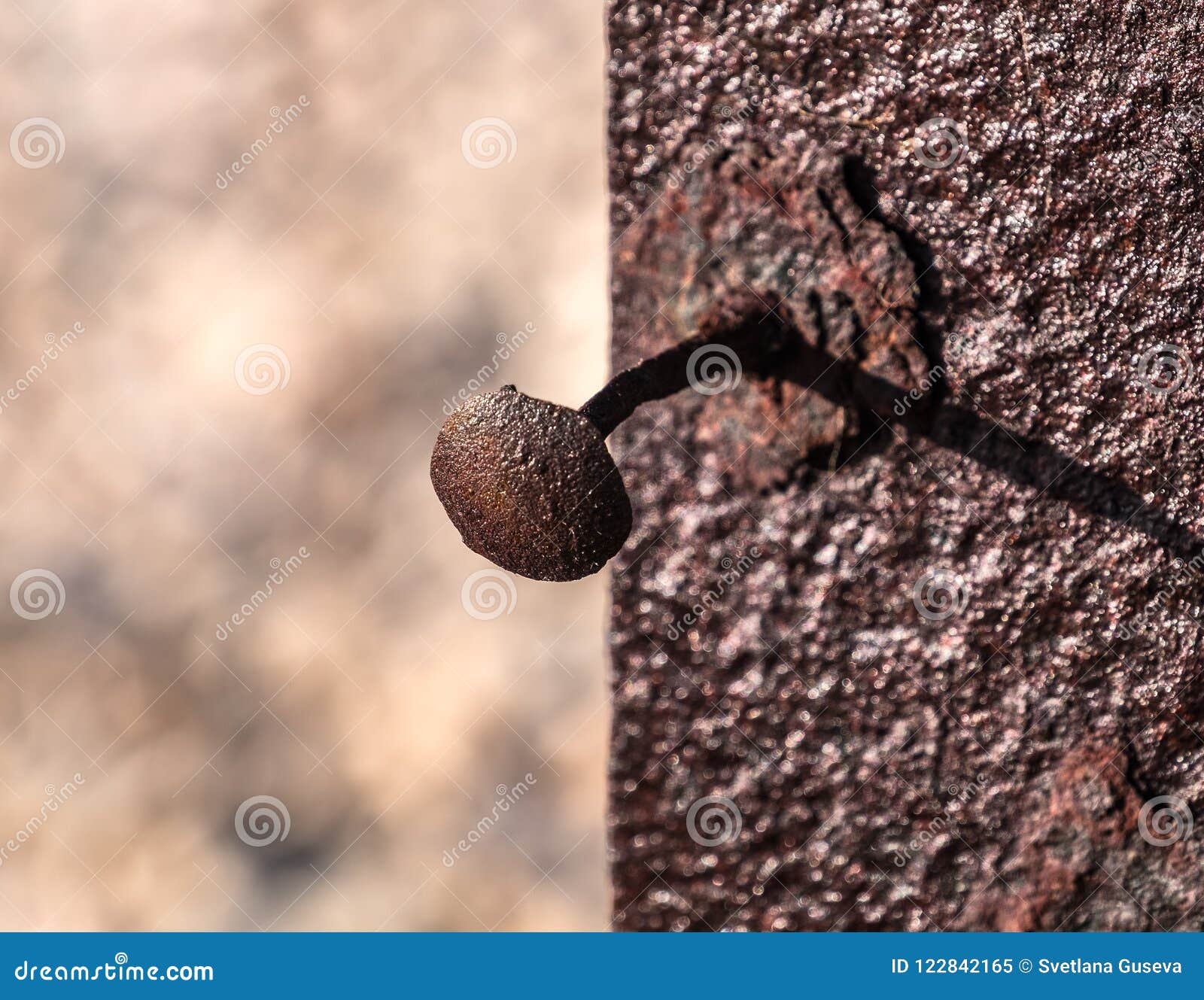 Rusty Nail stock image. Image of corroded, ancient, antiquity - 122842165