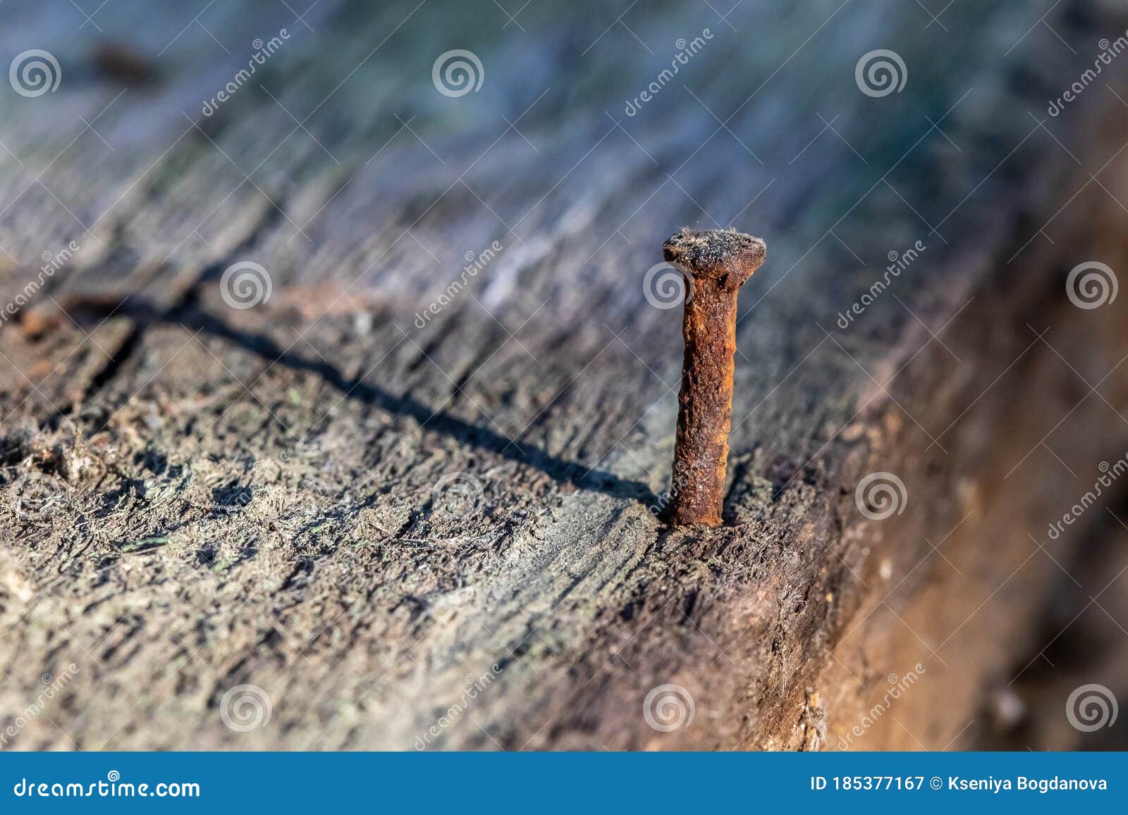 Rusty nail on old wood stock image. Image of danger - 185377167