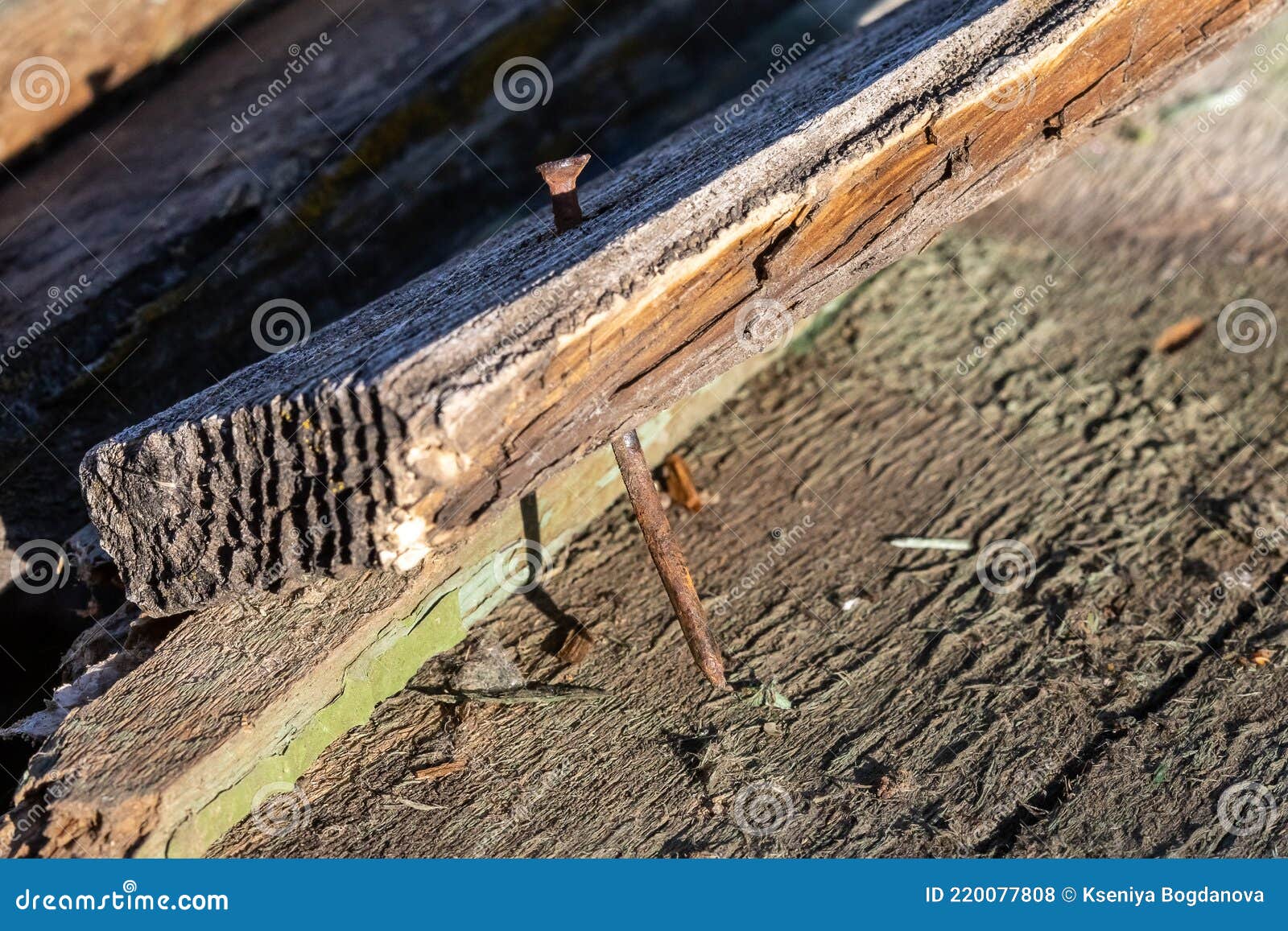 Rusty nail on old wood stock photo. Image of frizzle - 220077808