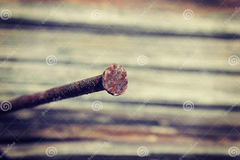 Rusty nail stock photo. Image of hardwood, concepts, nail - 61020162